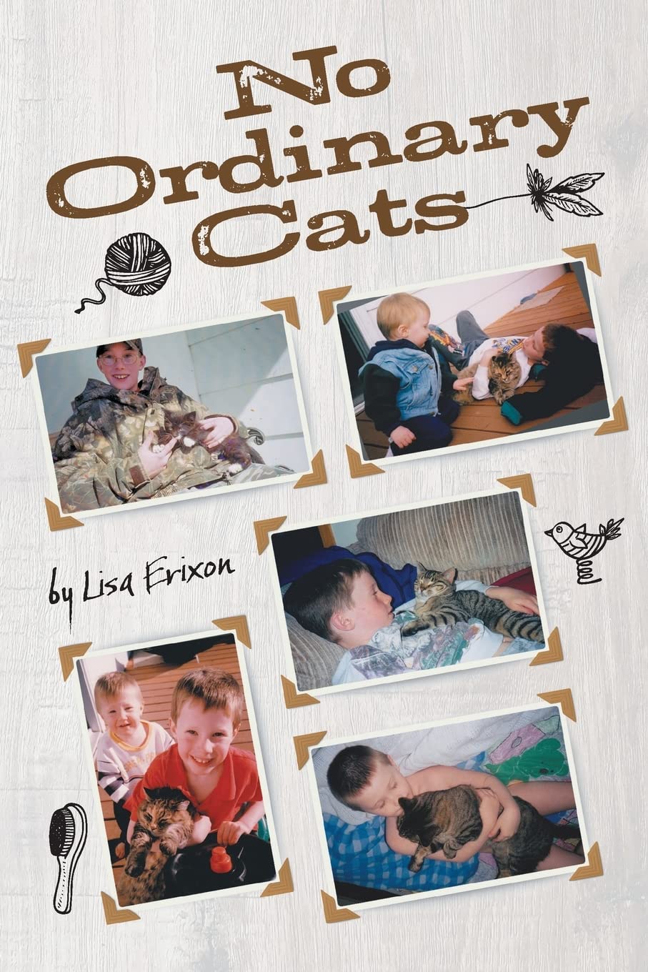 No Ordinary Cats (Prairie Cat Chronicles) by Lisa Erixon | Goodreads