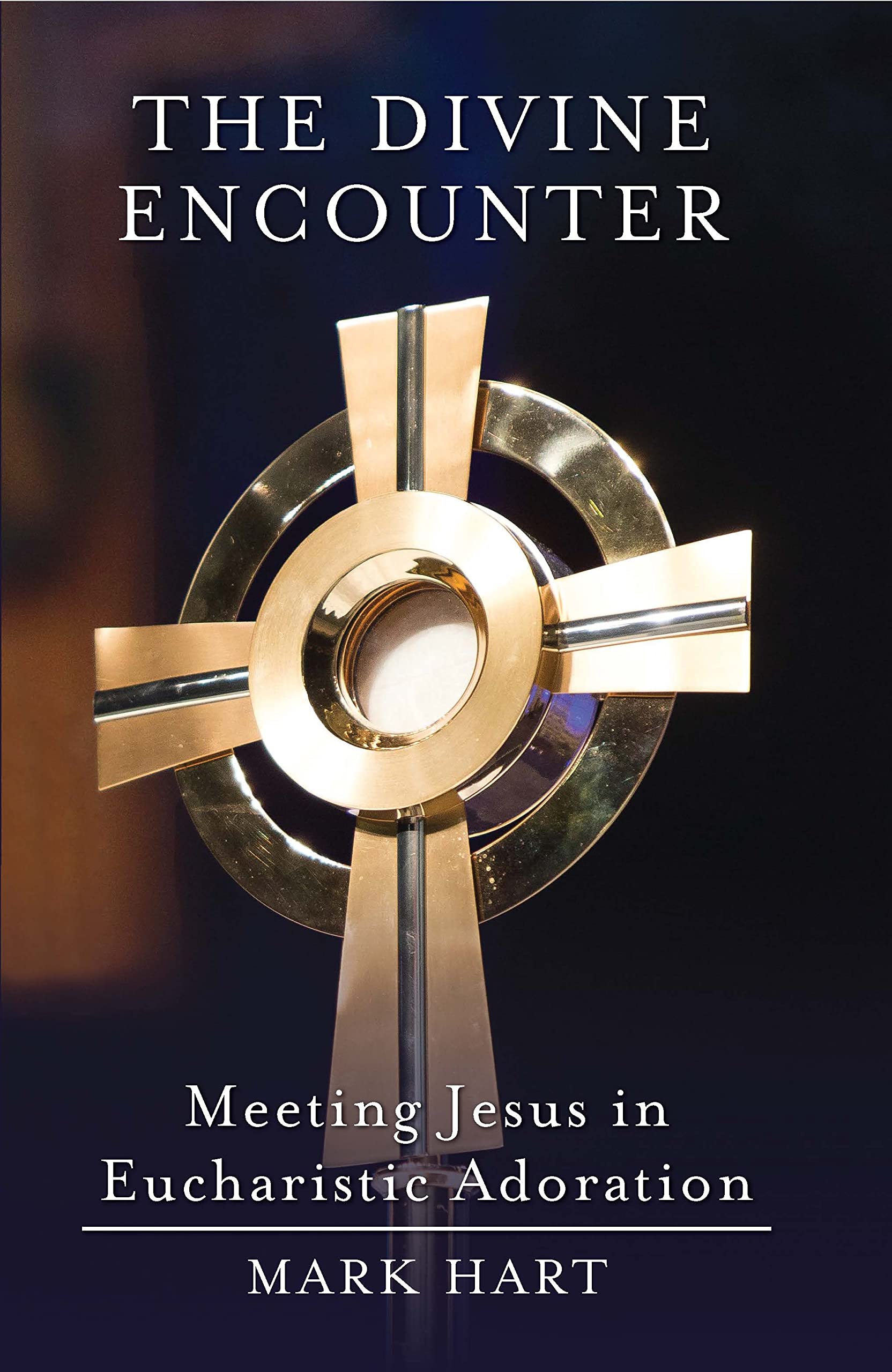 The Divine Encounter: Meeting Jesus in Eucharistic Adoration by Mark ...