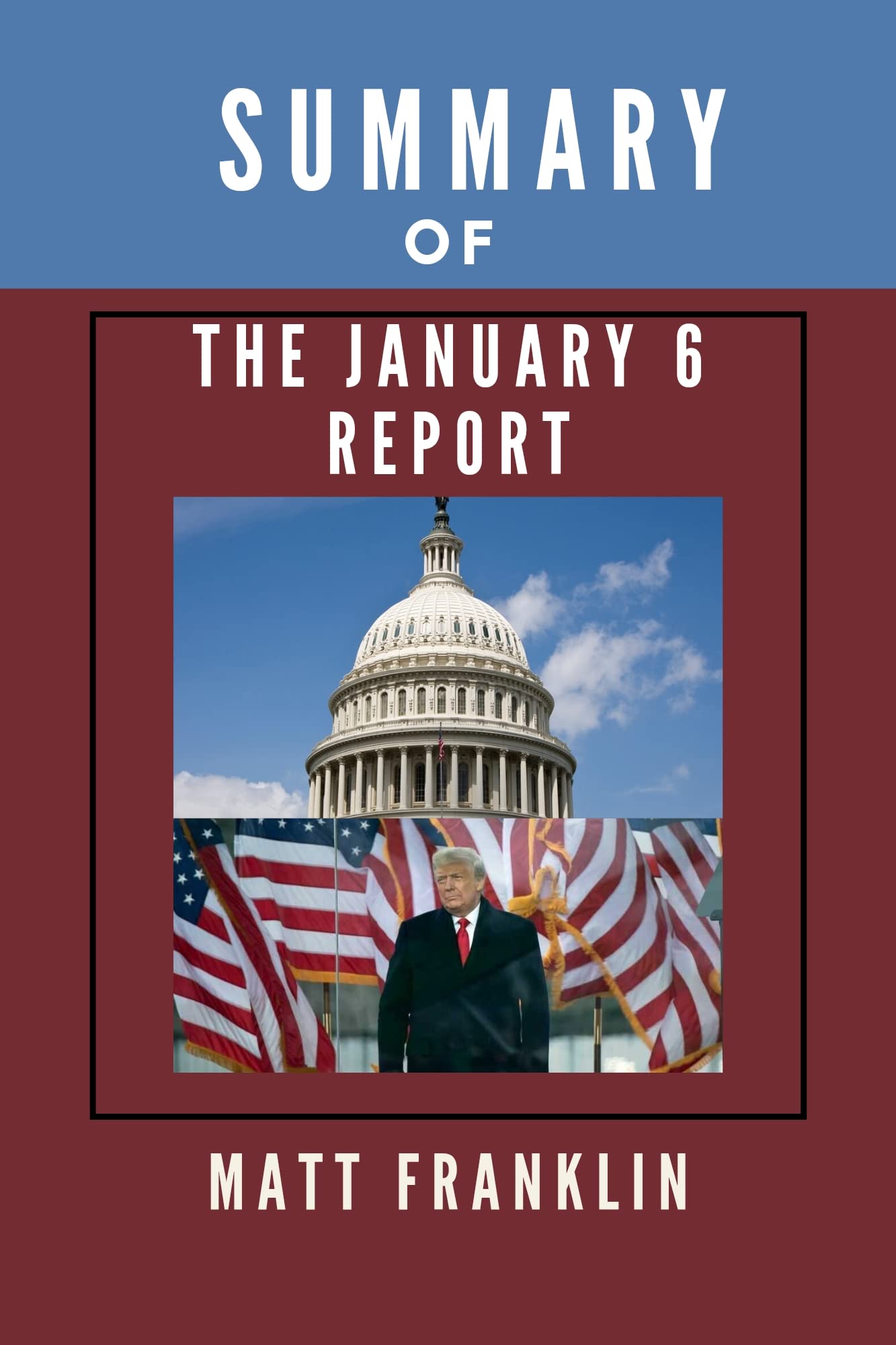 Summary of THE JANUARY 6 REPORT by Ari Melber by Matt Franklin | Goodreads
