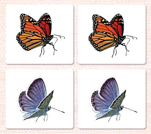 Butterfly Matching Cards by Maitri Learning | Goodreads