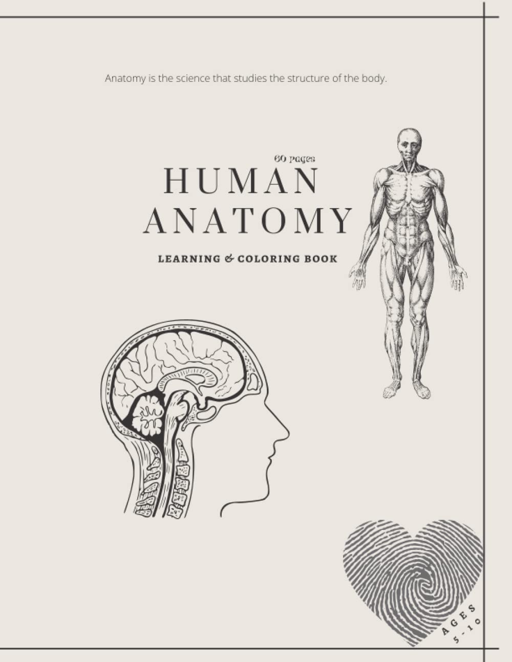 human-anatomy-activity-book-an-easy-and-simple-way-to-learn-about