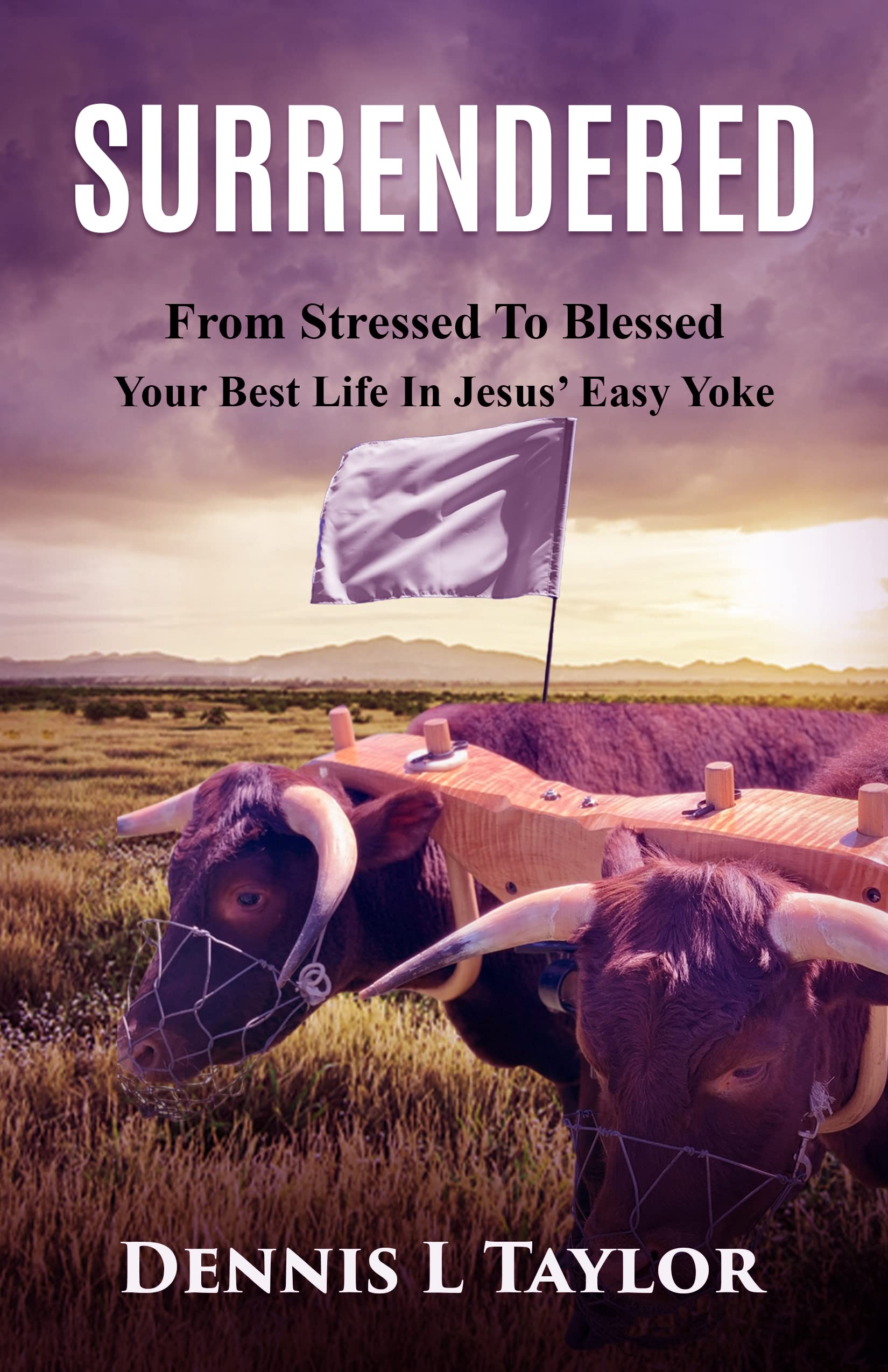 SURRENDERED: From Stressed To Blessed; Your Best Life In Jesus' Easy ...