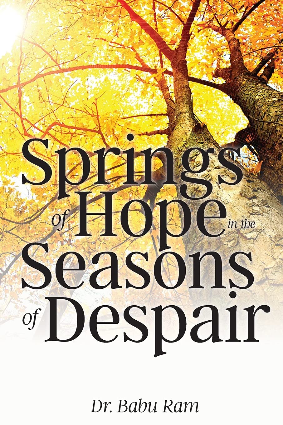 Springs of Hope in the Seasons of Despair by Babu Ram | Goodreads
