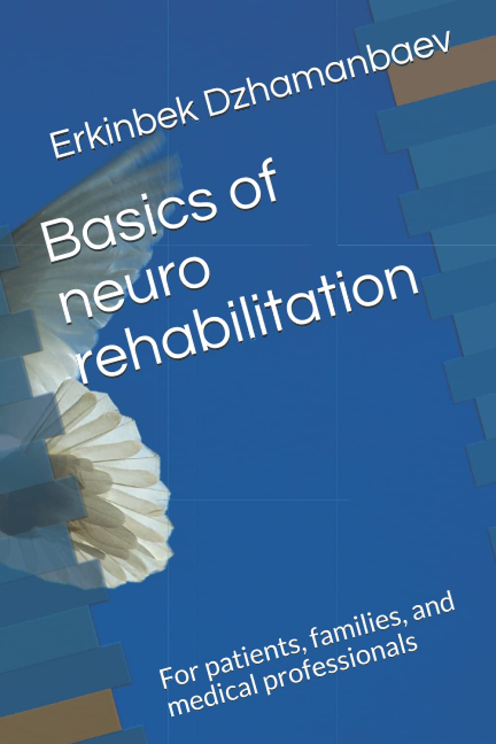 Basics of neuro rehabilitation: For patients, families, and medical ...