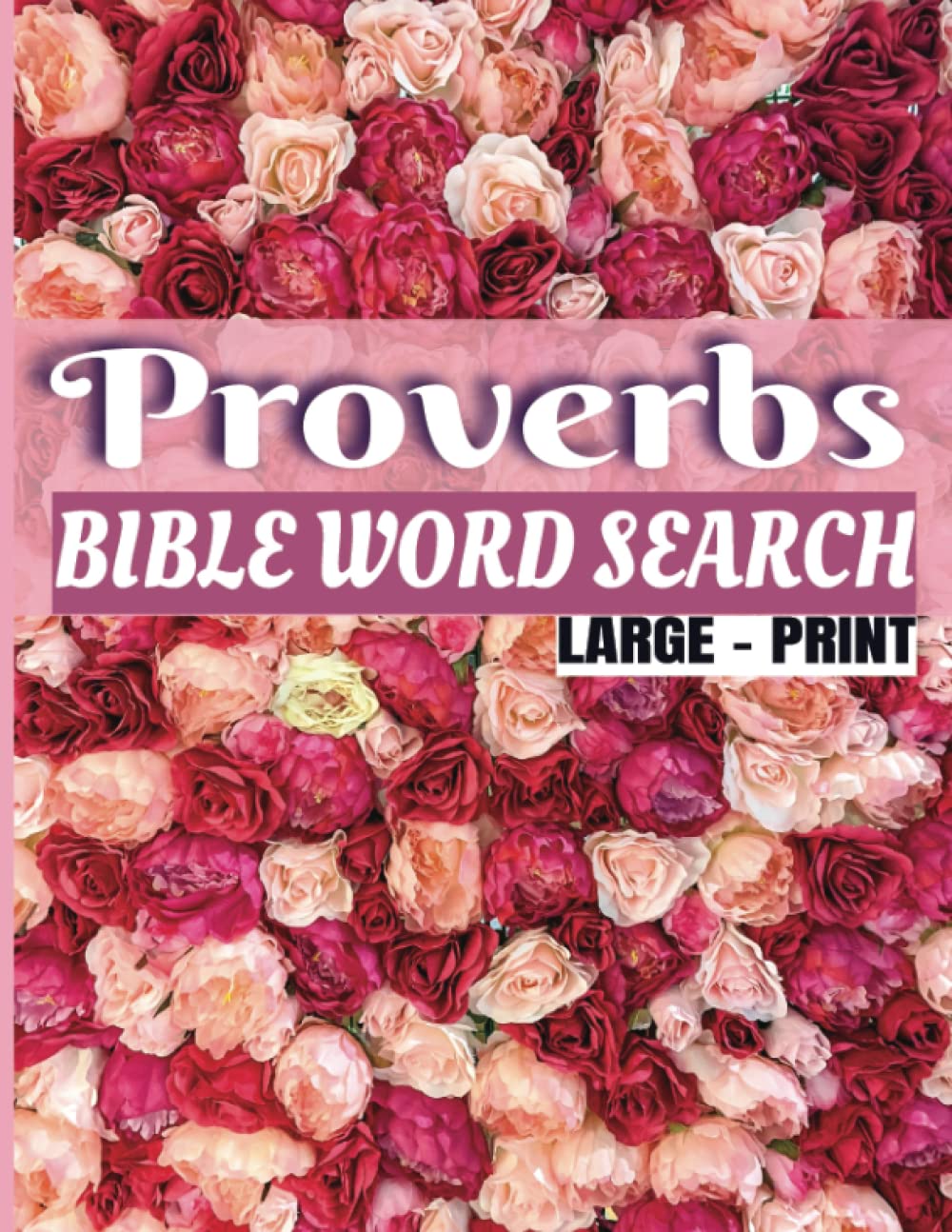 Large Print Bible Word Search Proverbs Bible Word Search Large Print