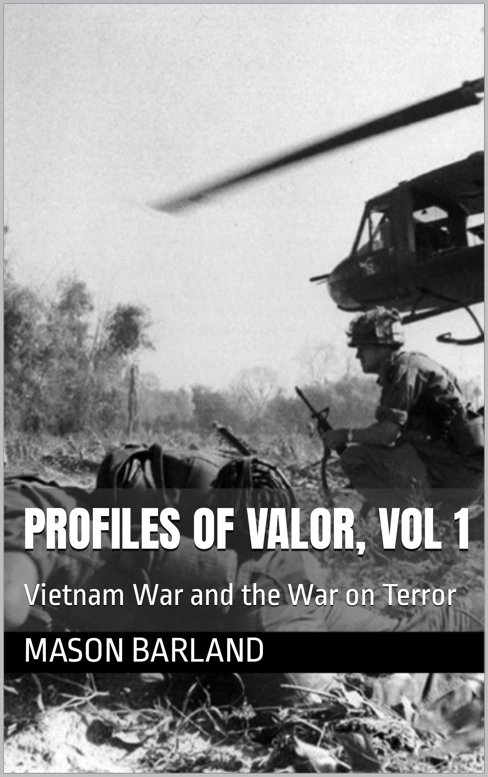 Profiles of Valor, Vol 1: Vietnam War and the War on Terror by Mason ...