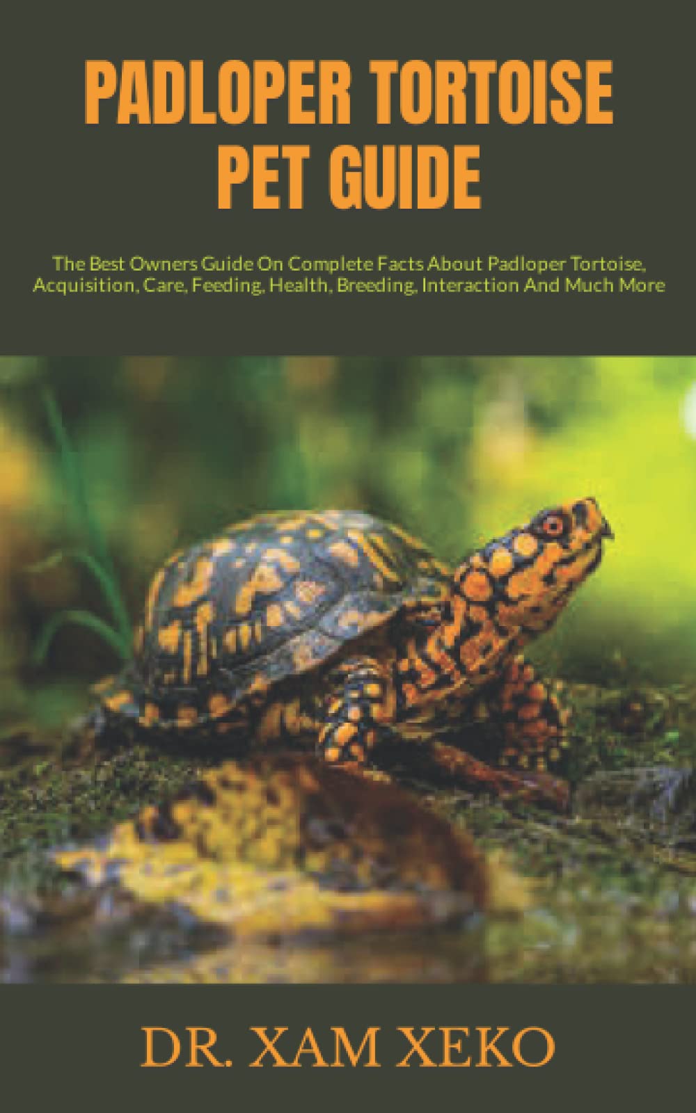 PADLOPER TORTOISE PET GUIDE: The Best Owners Guide On Complete Facts ...