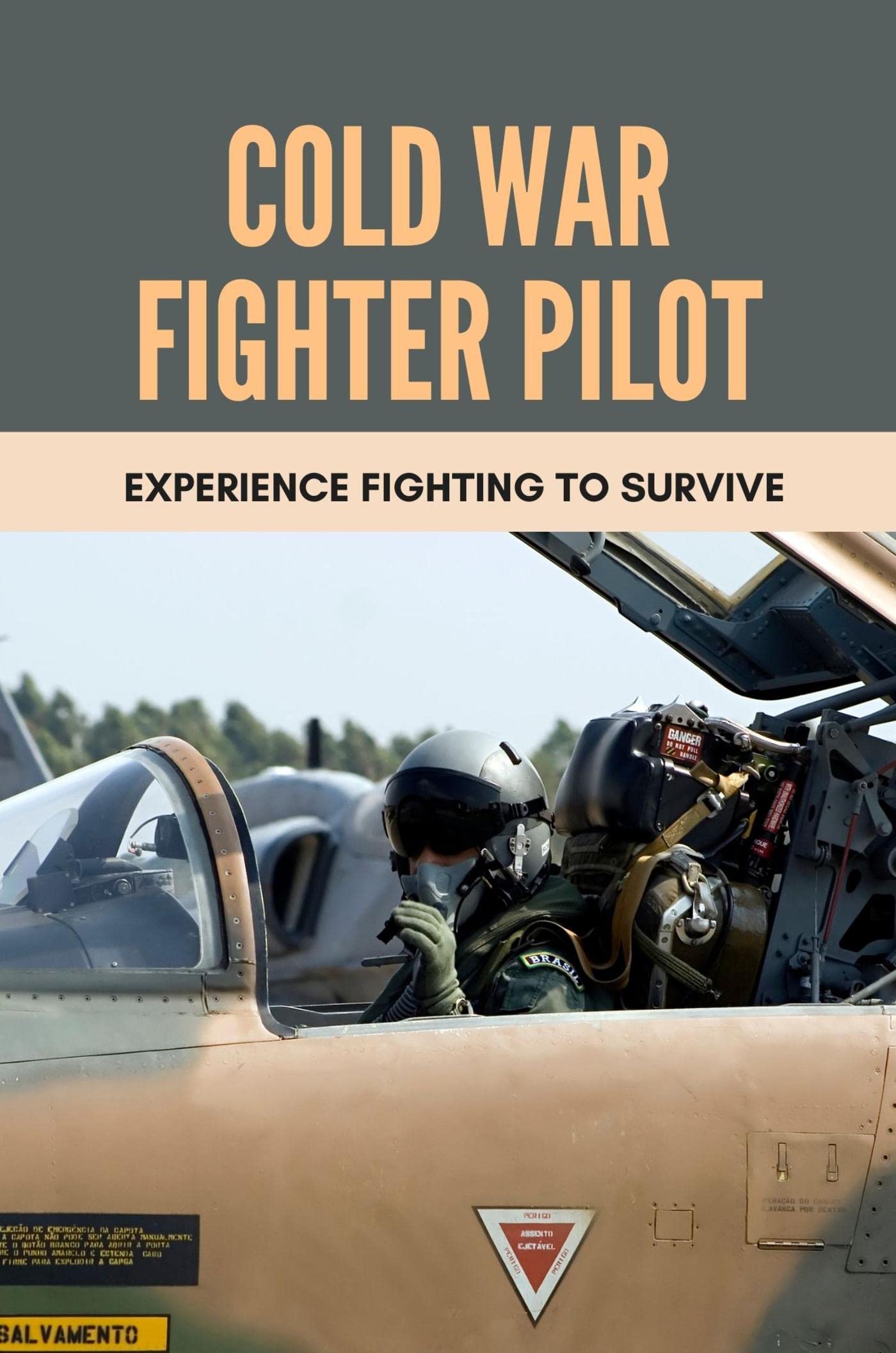 Cold War Fighter Pilot: Experience Fighting To Survive by Lurline ...