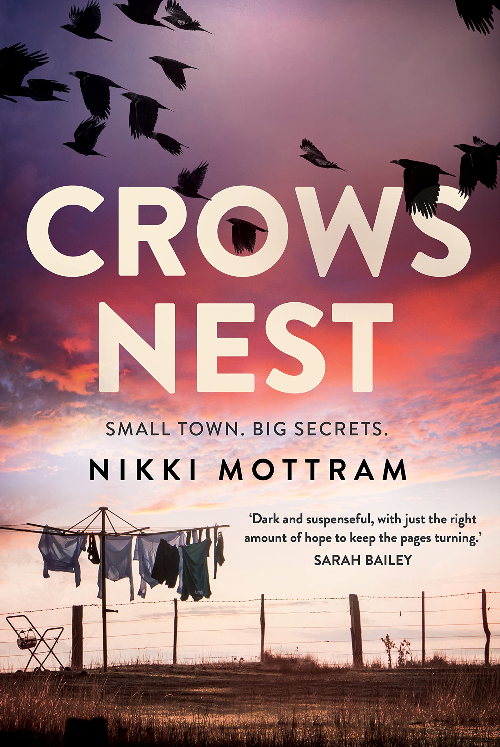 Crows Nest (The Dana Gibson Mysteries #1) by Nikki Mottram | Goodreads