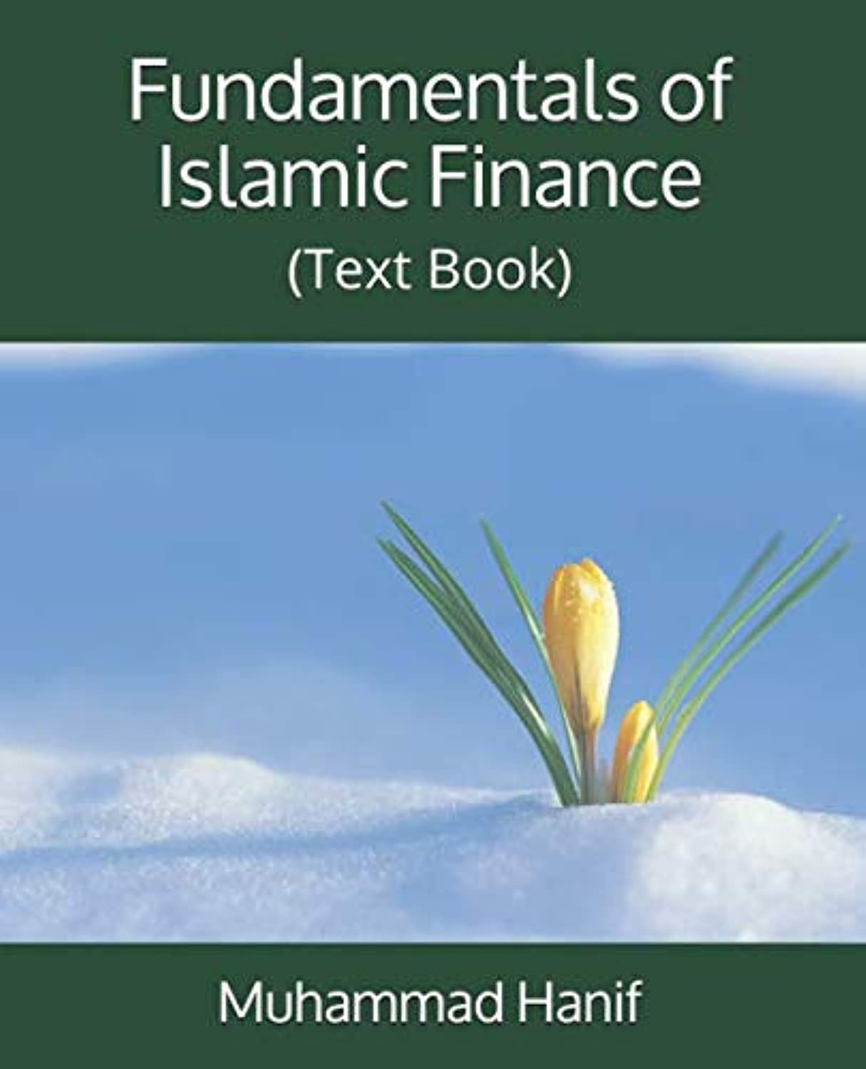 Fundamentals of Islamic Finance: (Text Book) by Dr Muhammad Hanif ...