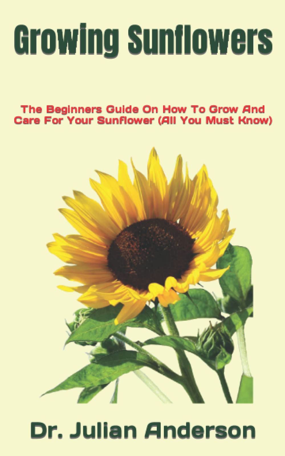 Growing Sunflowers: The Beginners Guide On How To Grow And Care For ...