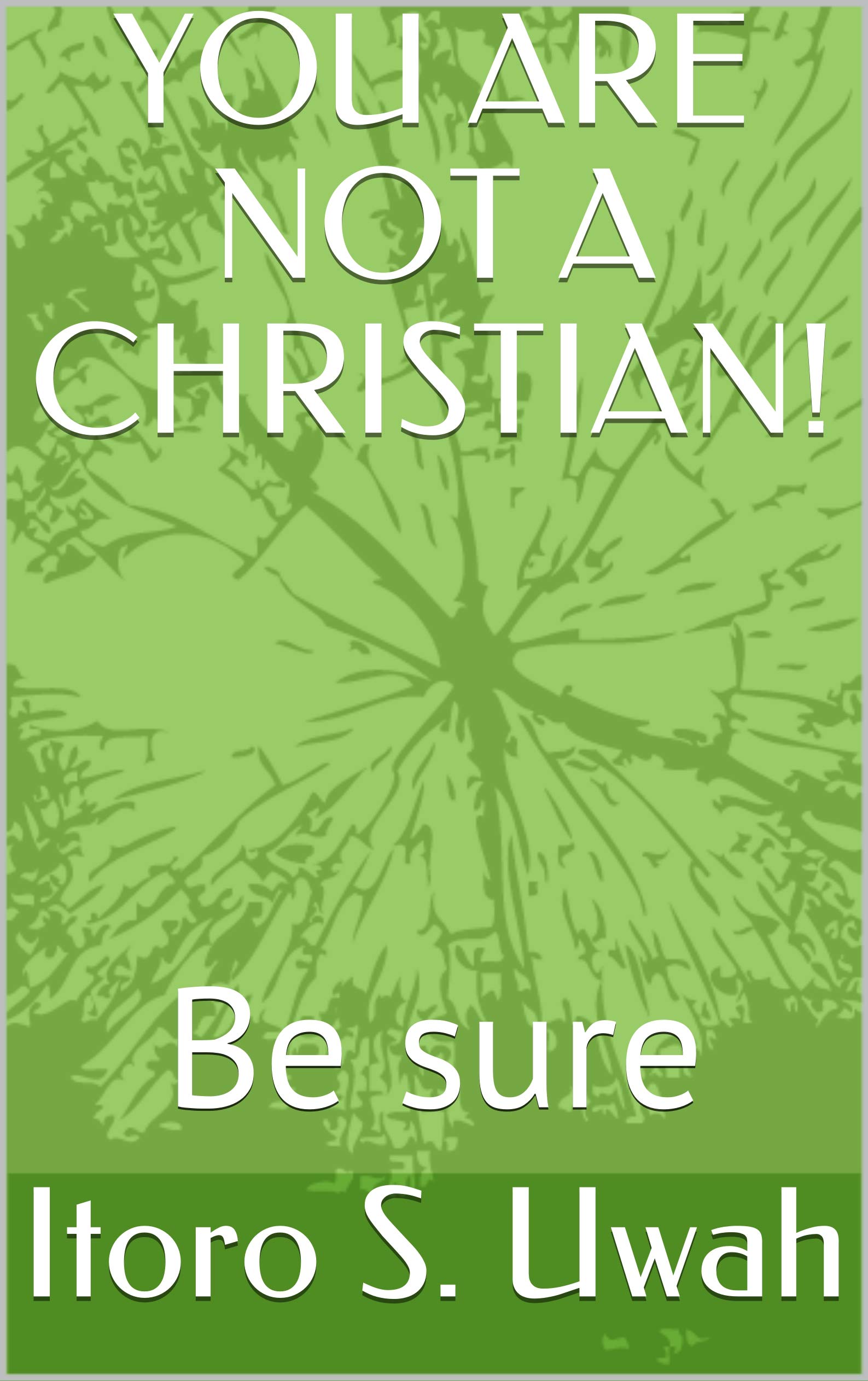 You're Not A Christian by Itoro S. Sunday Uwah | Goodreads