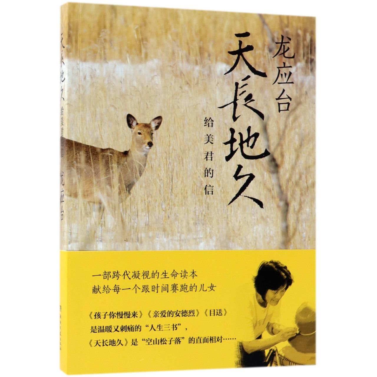 The Letters to Meijun (Chinese Edition) by Long Yingtai | Goodreads