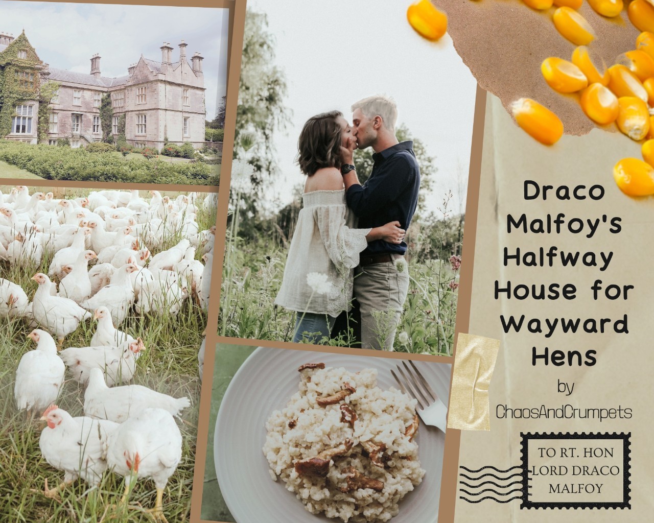 Draco Malfoy’s Halfway House for Wayward Hens by ChaosAndCrumpets ...