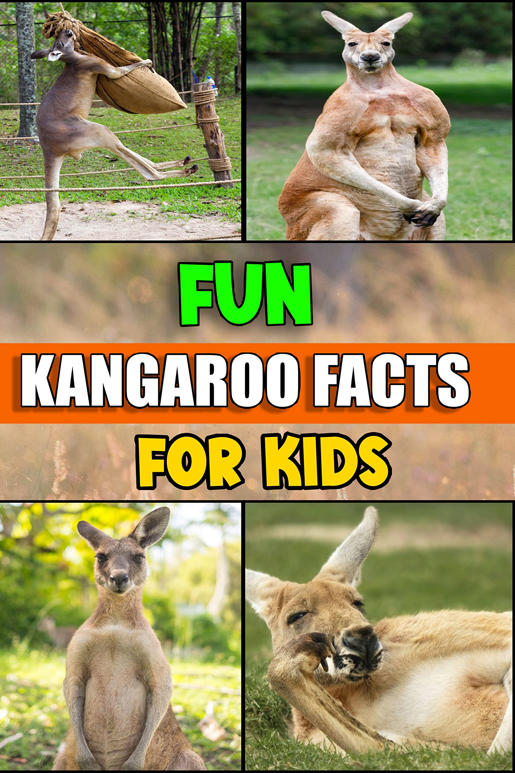 Fun Kangaroo Facts For Kids: Amazing Kangaroo Facts and Trivia Book ...