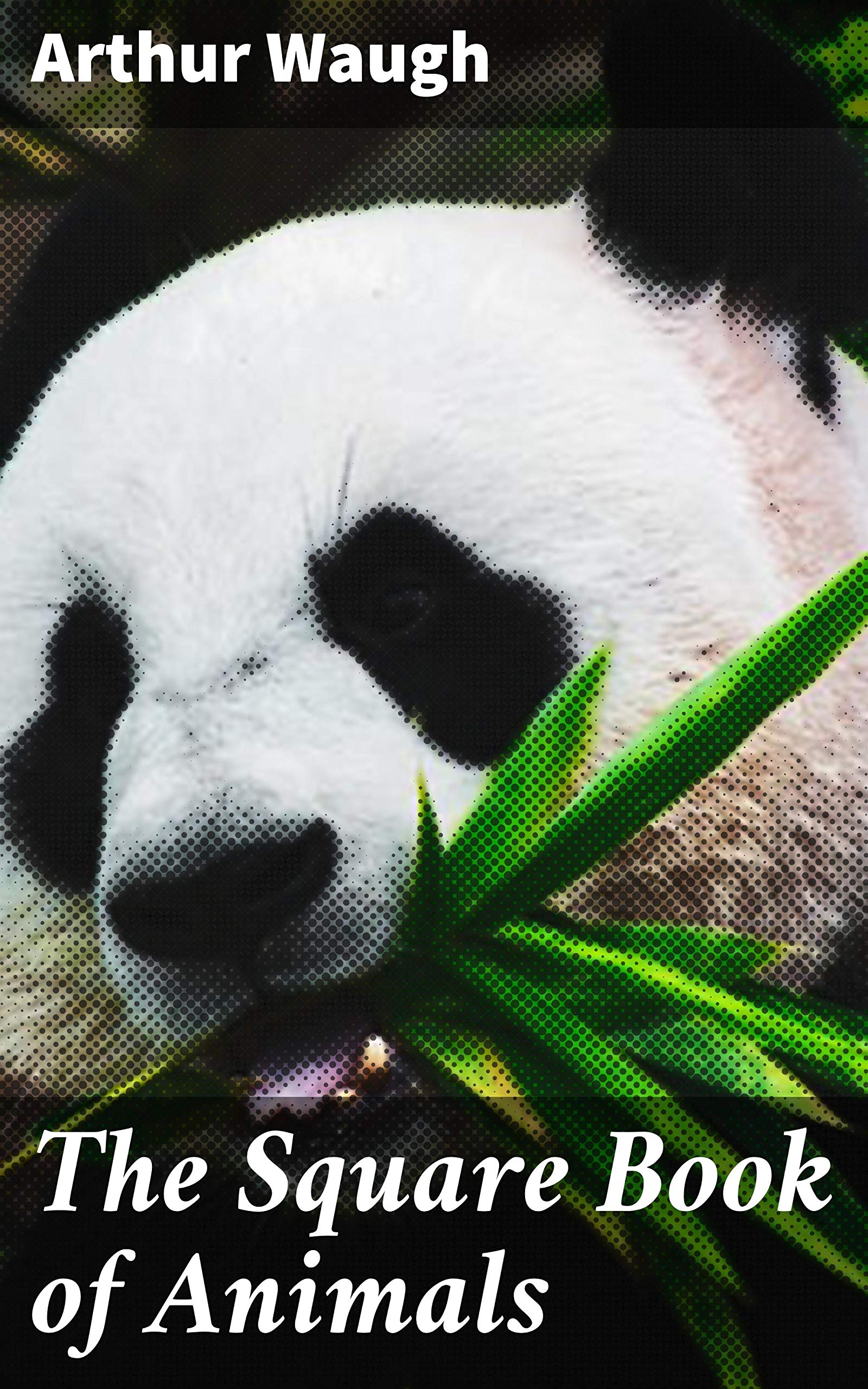 The Square Book of Animals by Arthur Waugh | Goodreads