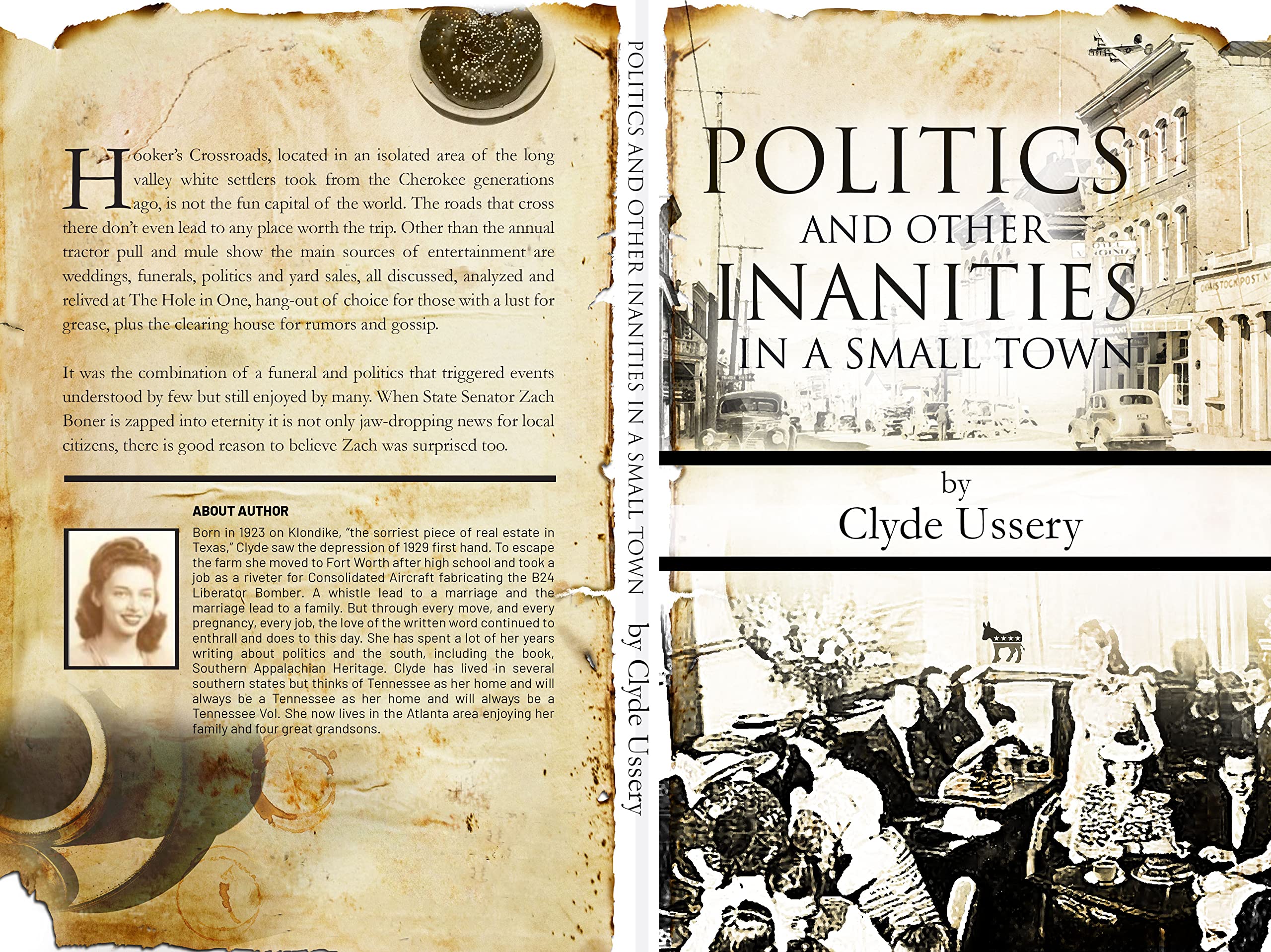 Politics and Other Inanities in a Small Town by Clyde Ussery | Goodreads