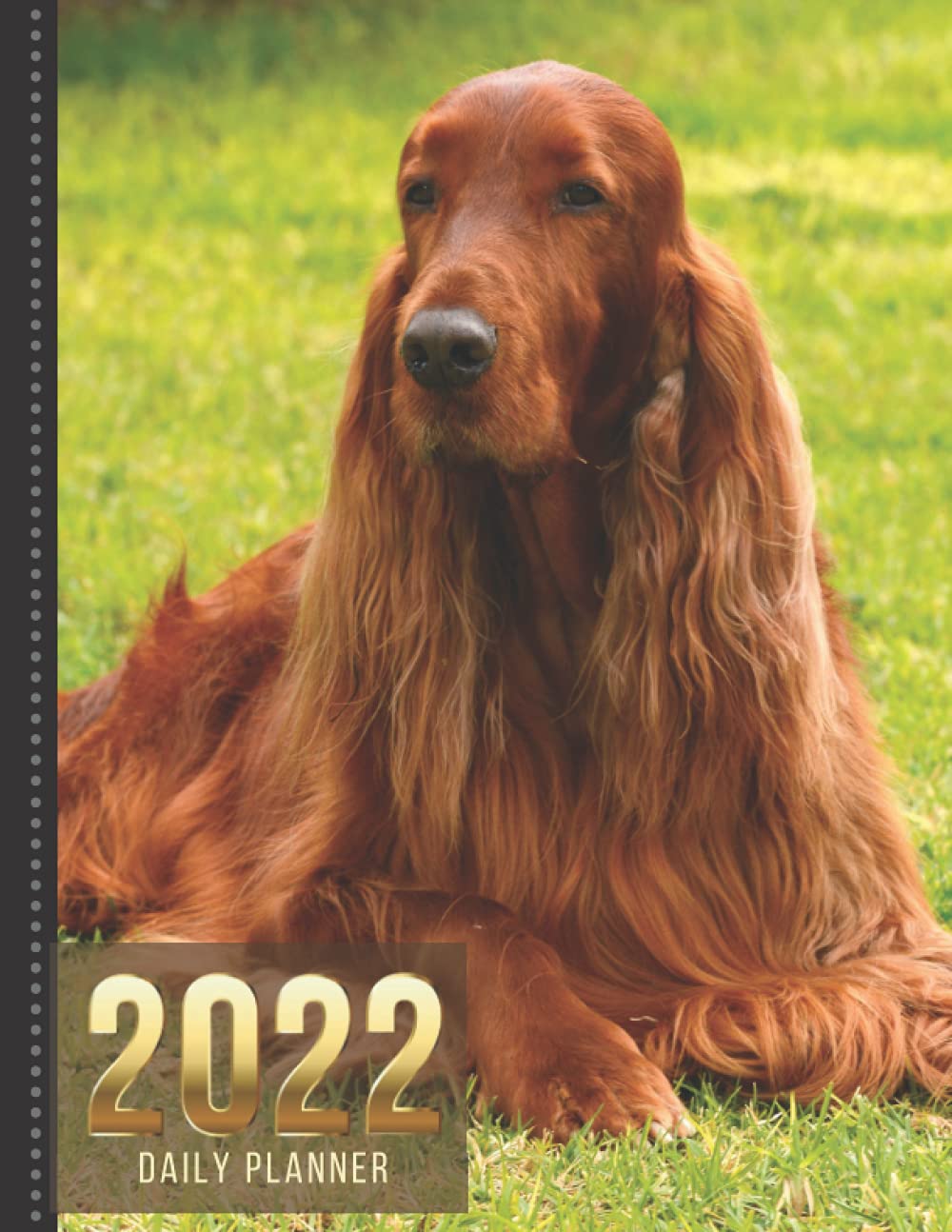 2022 Daily Planner: Red Irish Setter Dog Art Photo - Animal Lover ...
