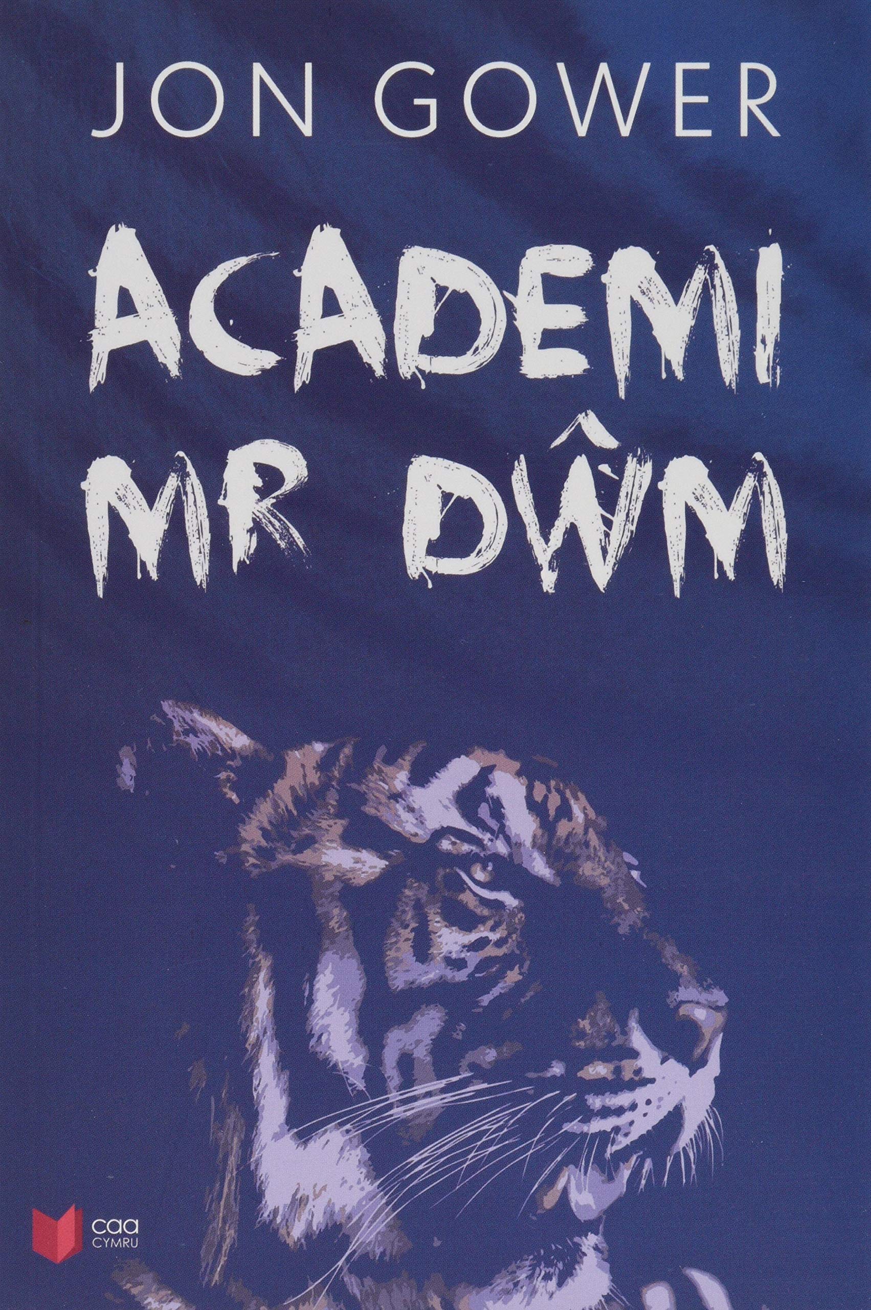 Academi Mr Dm (Welsh Edition) by Jon Gower | Goodreads