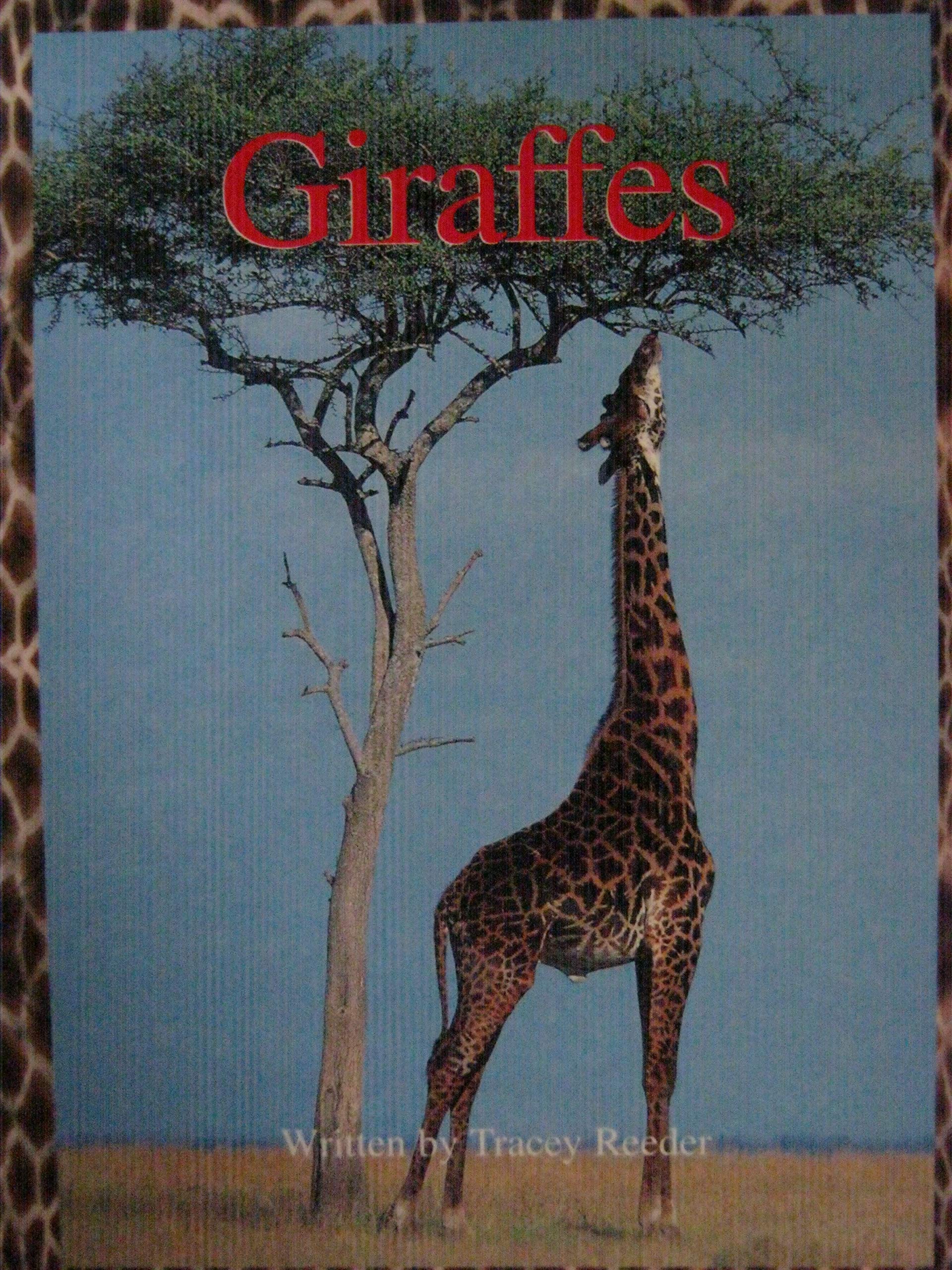 Giraffes by Tracey Reeder | Goodreads