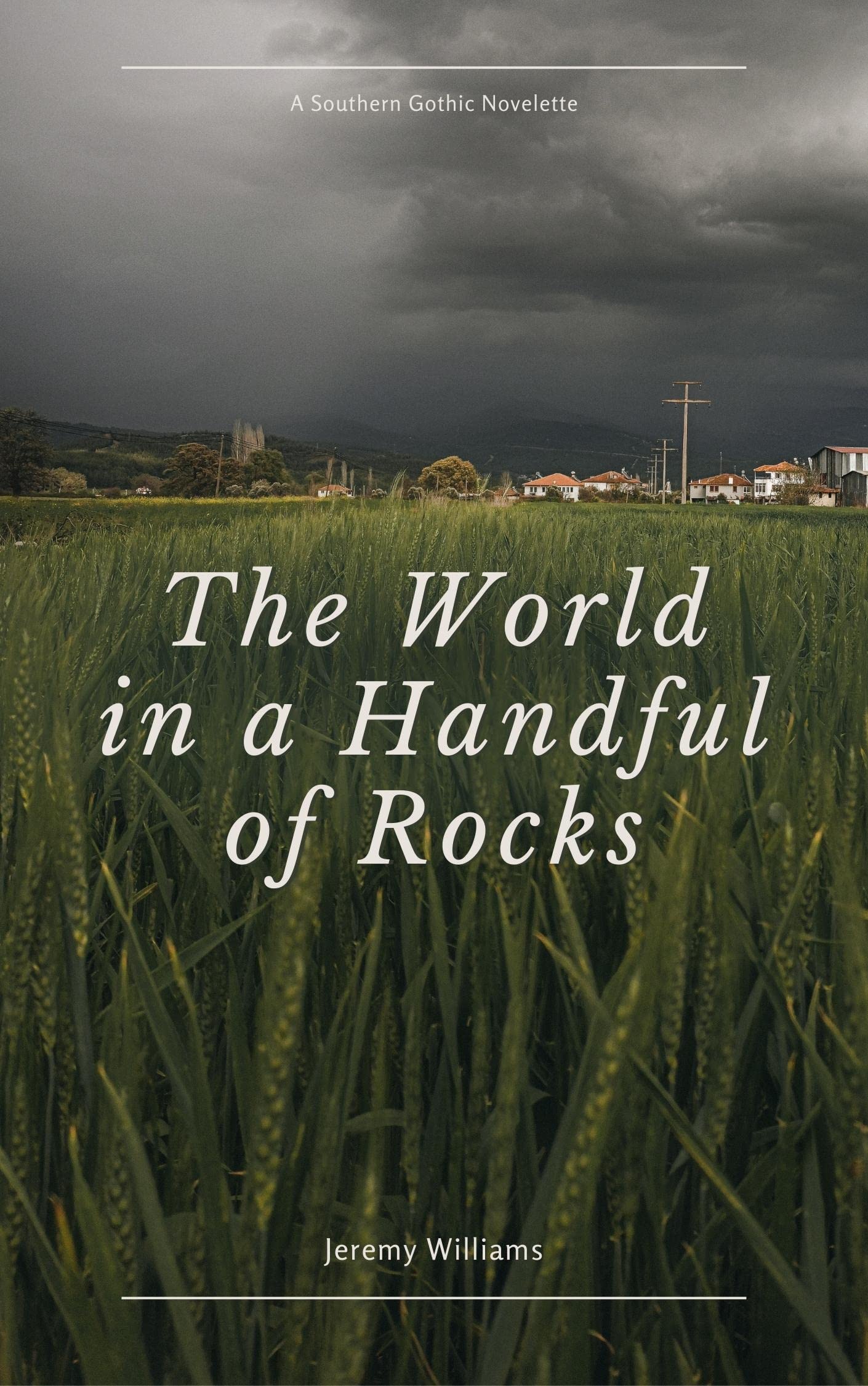 The World in a Handful of Rocks by Jeremy Williams | Goodreads