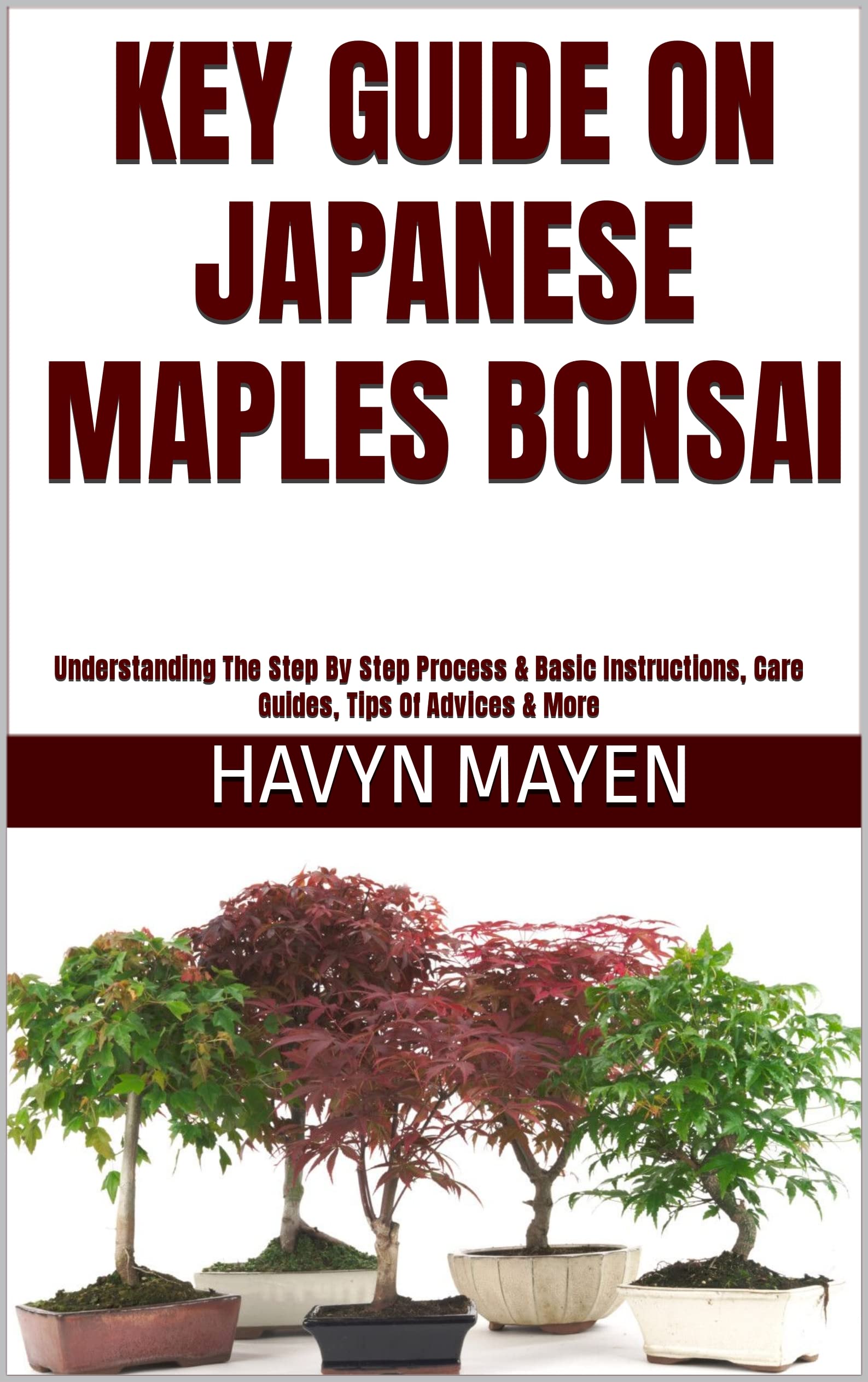 Japanese Maple Bonsai Guide at Stella Sexton blog