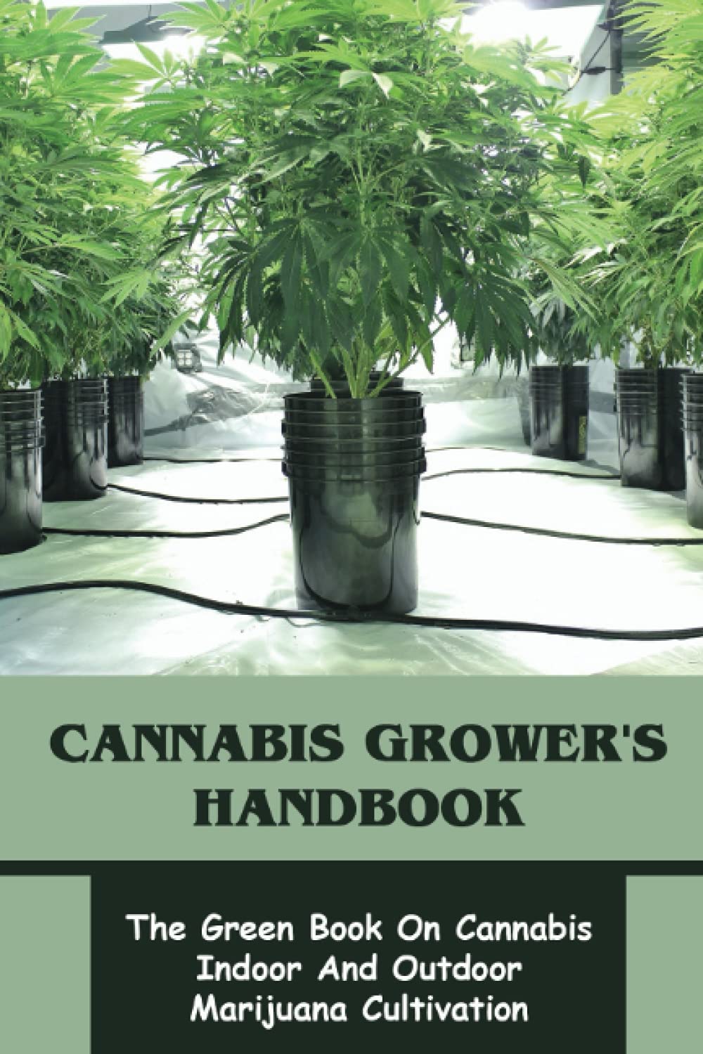 Cannabis Grower's Handbook: The Green Book On Cannabis Indoor And ...