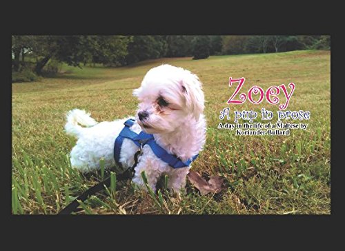 Zoey - A Pup In Prose: A day in the life of a Maltese by Koriander ...