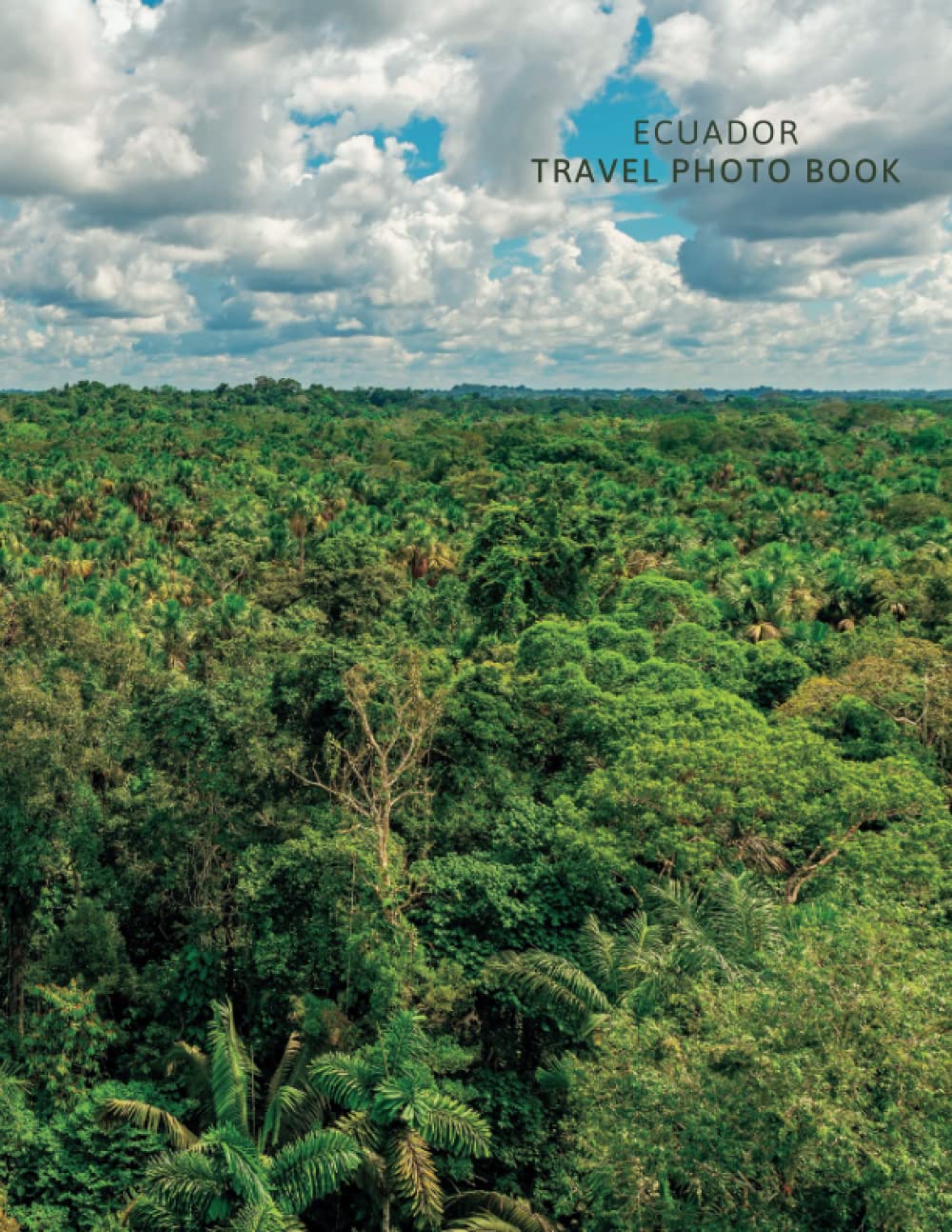 Ecuador Travel Photo Book: Ecuador coffee table travel book, a perfect Ecuador travel gift or ...