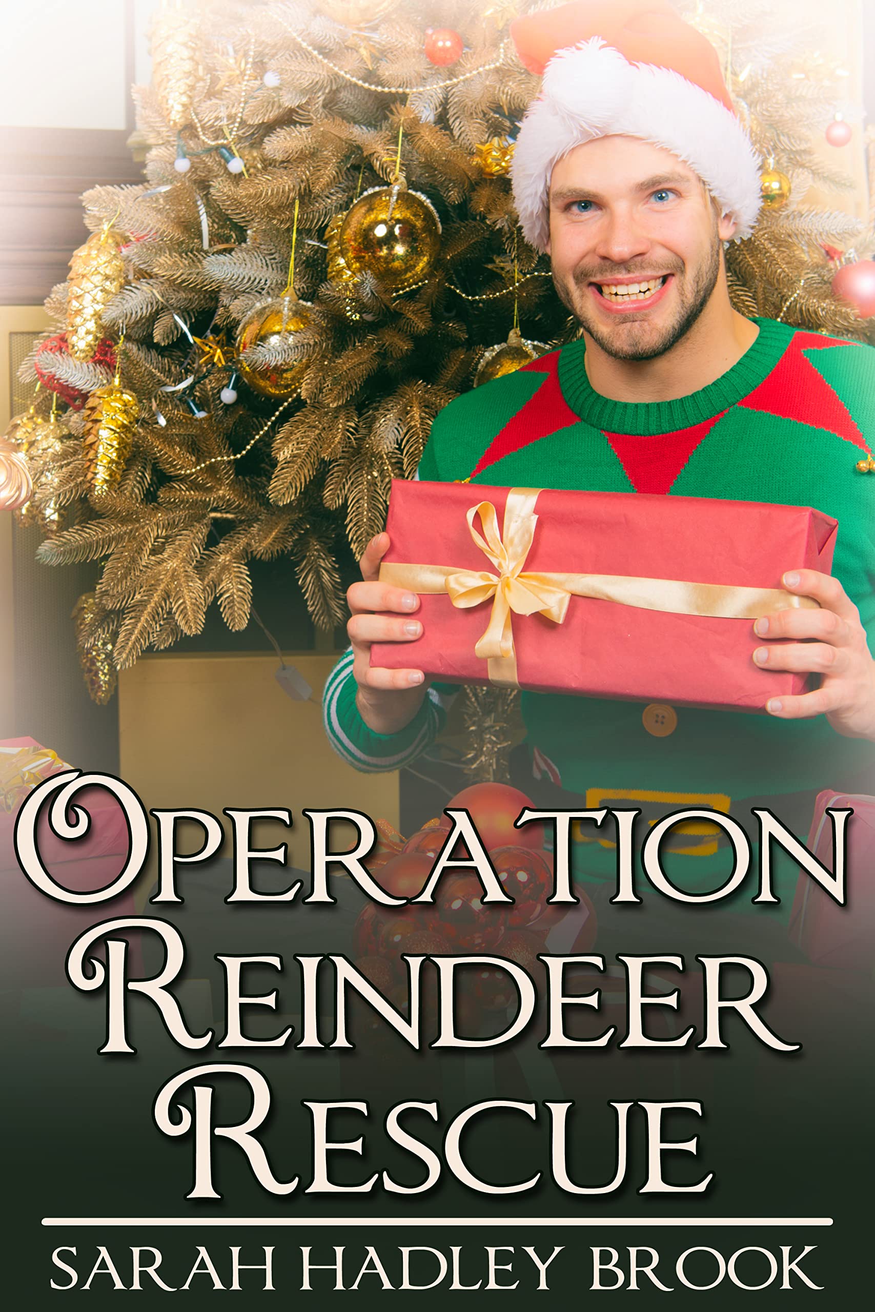 Operation Reindeer Rescue by Sarah Hadley Brook | Goodreads
