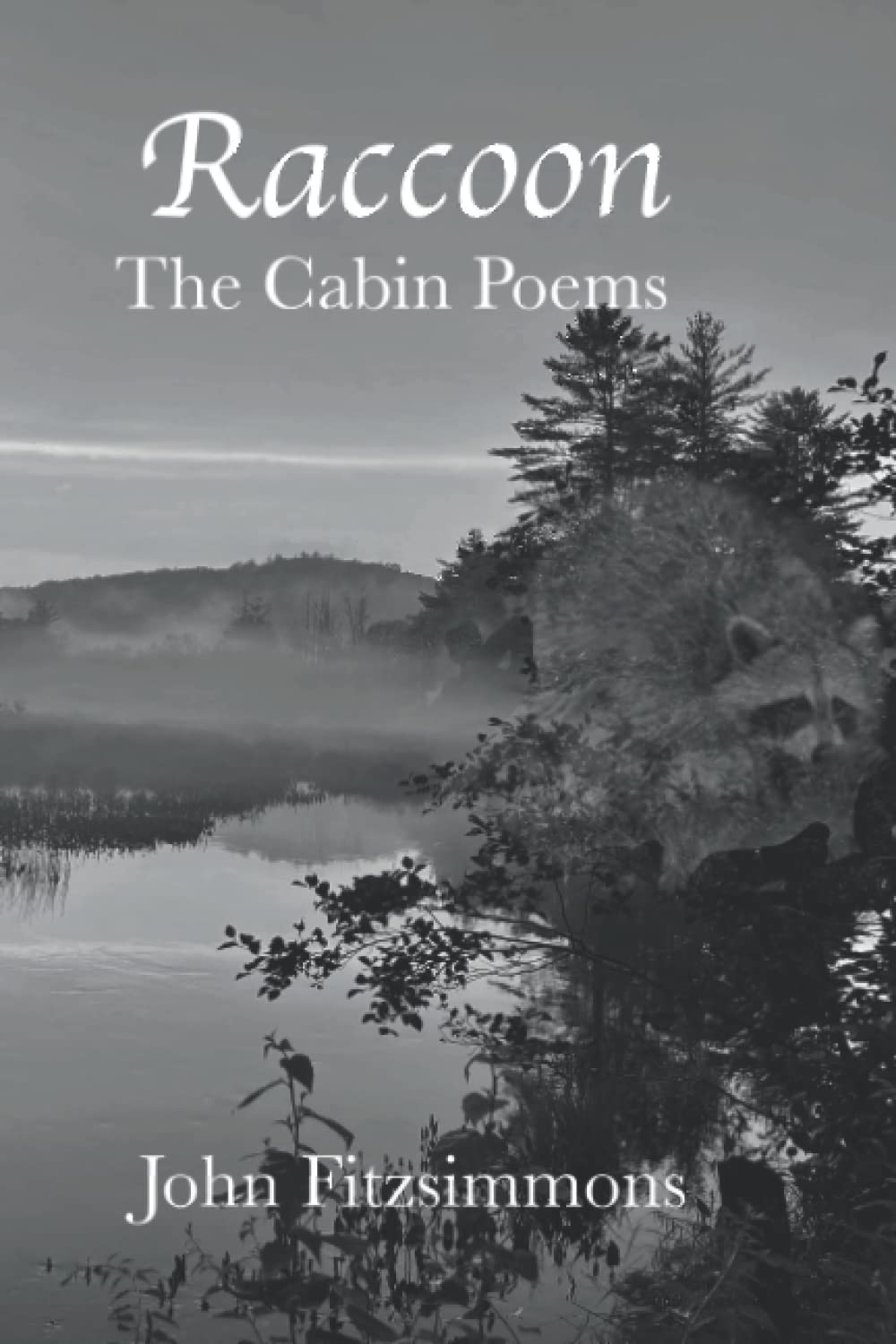 Raccoon: The Cabin Poems by John Fitzsimmons | Goodreads