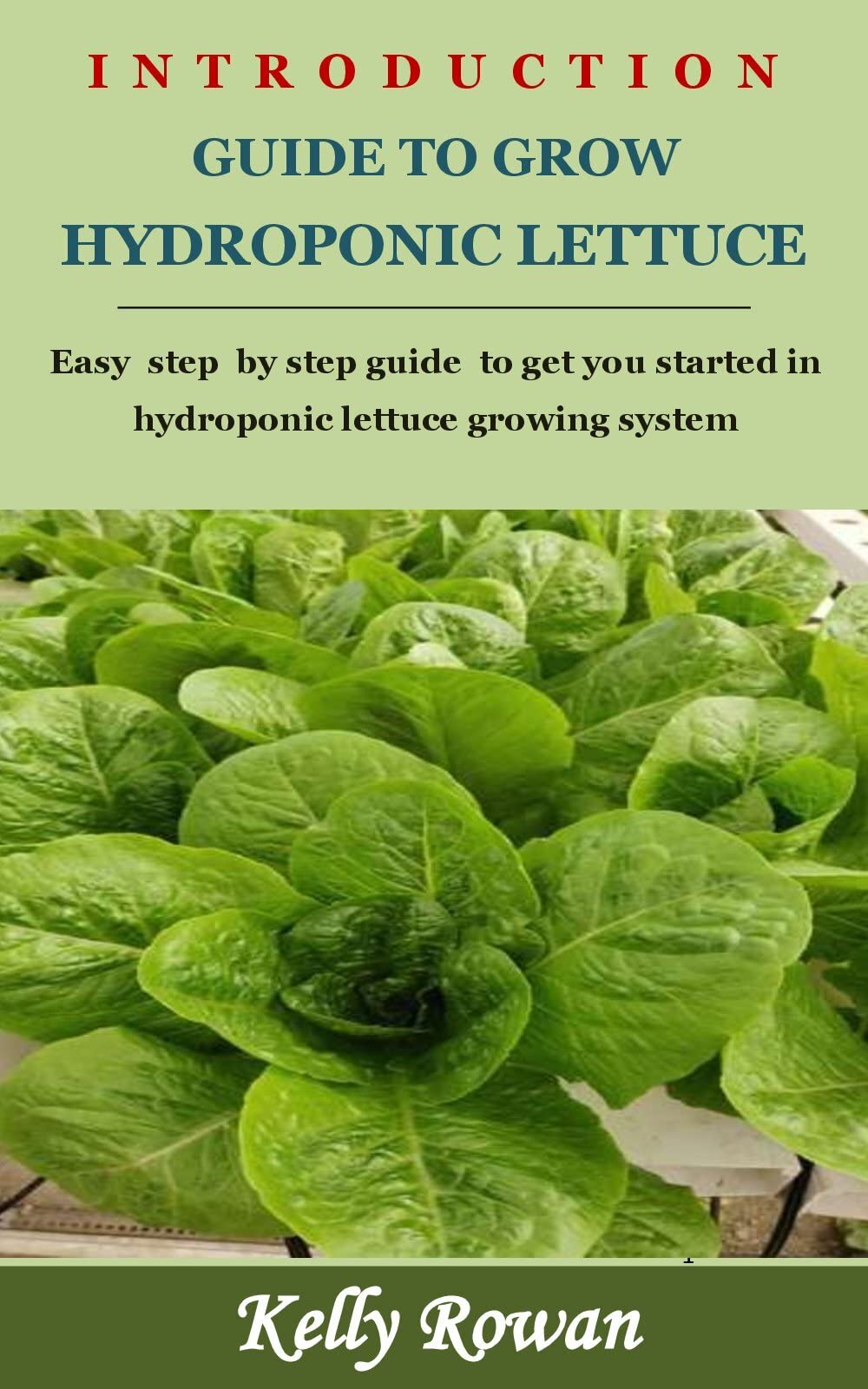 INTRODUCTION GUIDE TO GROW HYDROPONIC LETTUCE: Easy step by step guide to get you started in ...