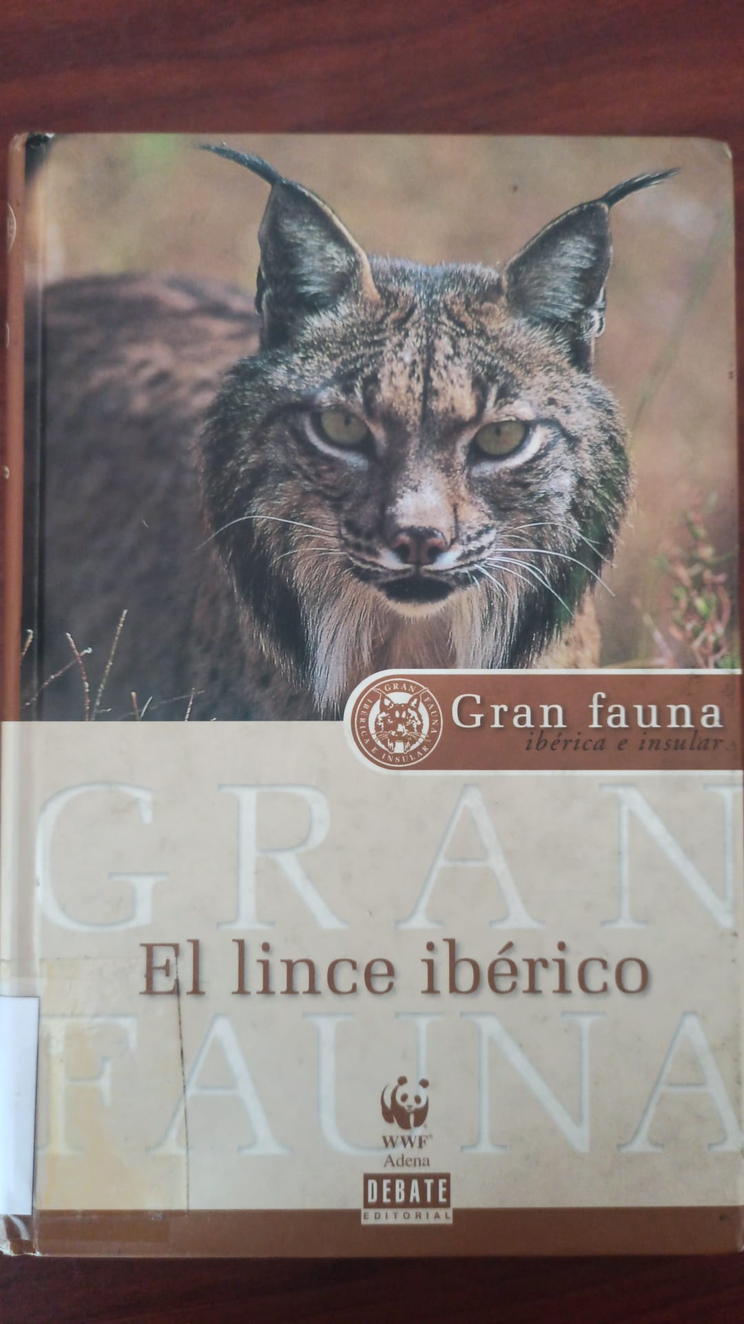 El lince ibérico by Jorge Bartolomé Zofío | Goodreads