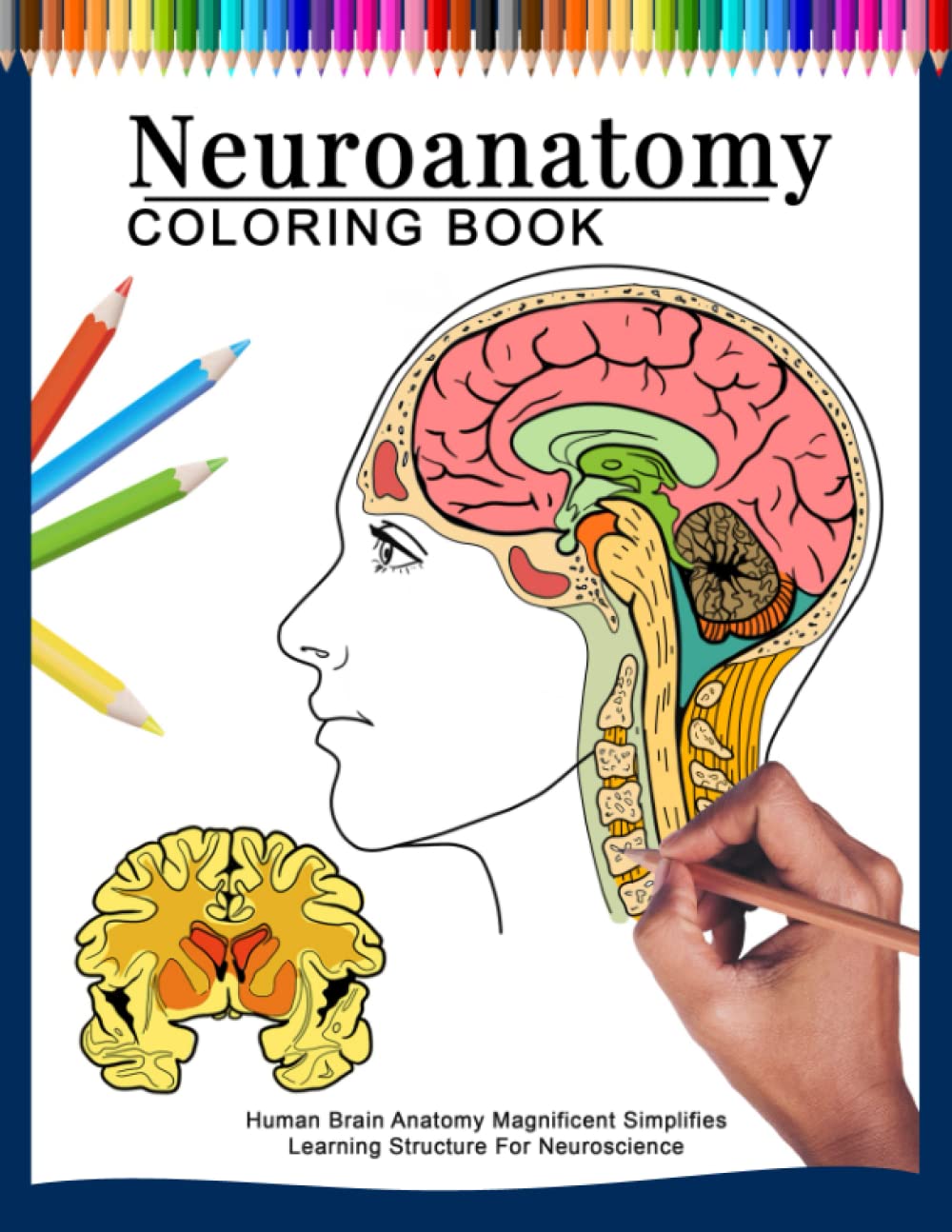 Neuroanatomy Coloring Book | Human Brain Anatomy Magnificent Simplifies ...