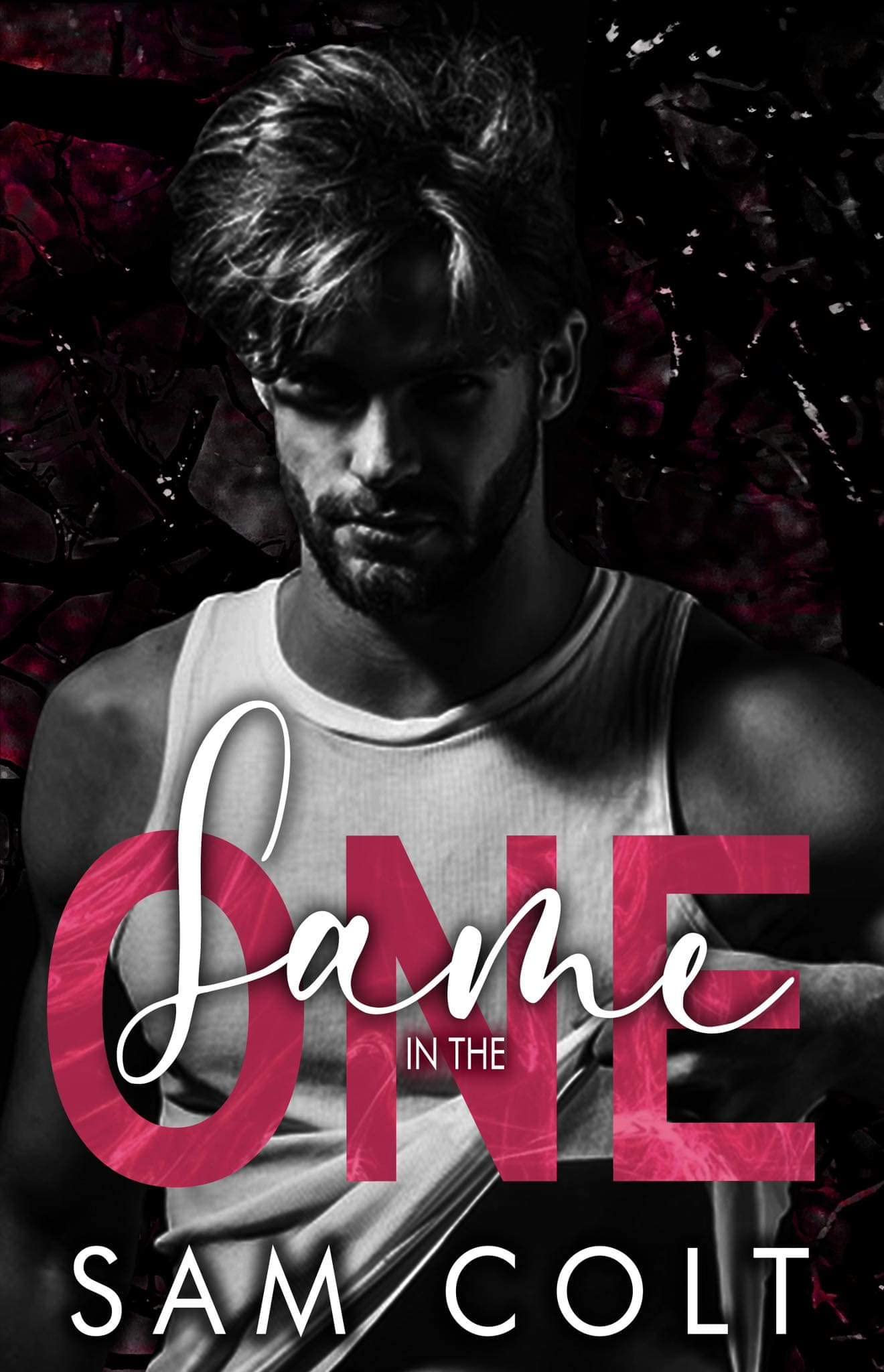 One and the Same by Sam Colt | Goodreads