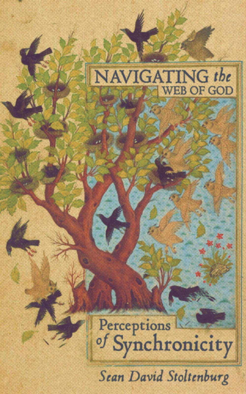 Navigating the Web of God: Perceptions of Synchronicity by Sean David ...