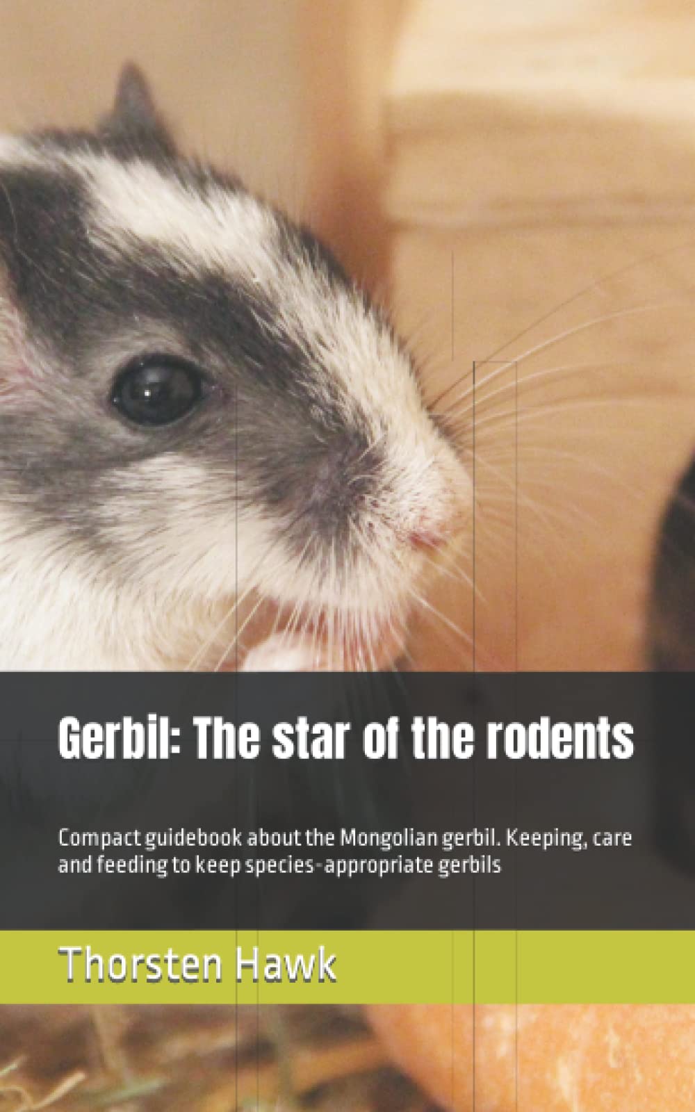 Gerbil: The star of the rodents: Compact guidebook about the Mongolian ...