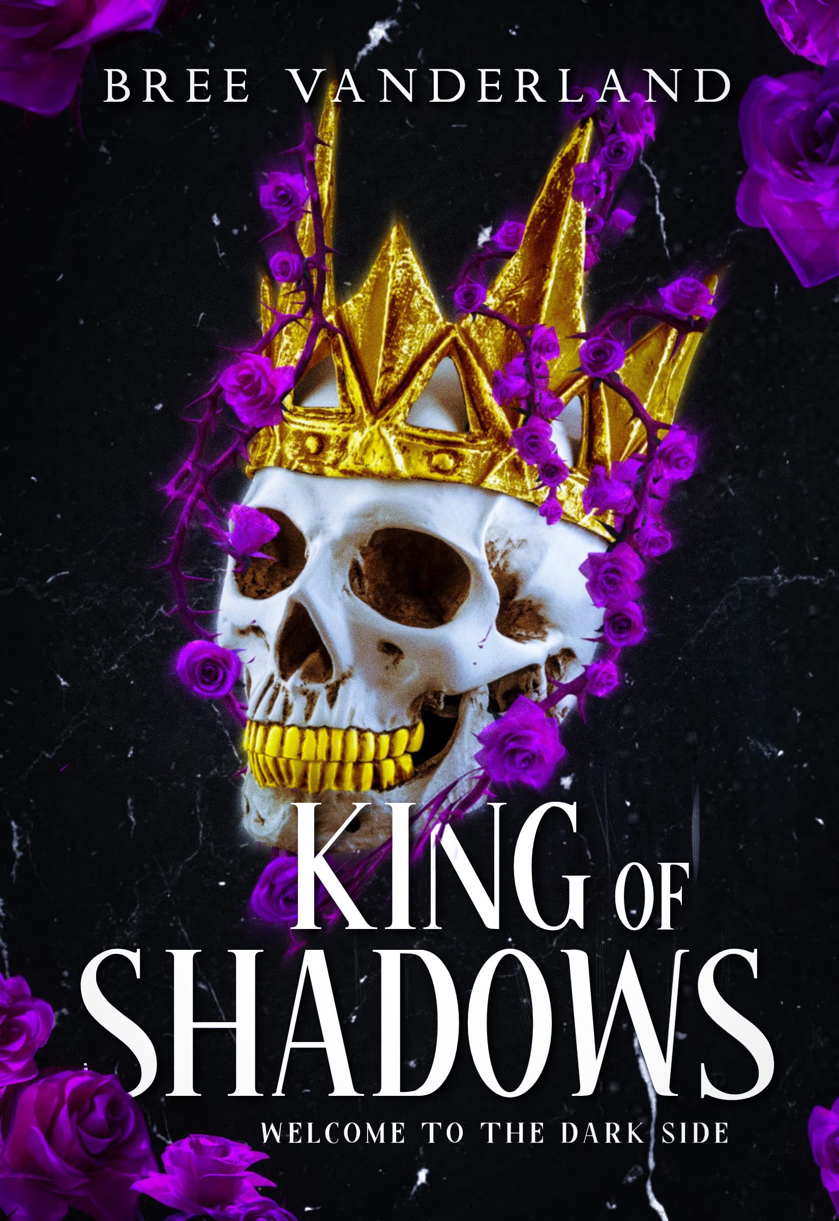 King of Shadows (Shadow Royals Duology Book 1) by Bree Vanderland ...