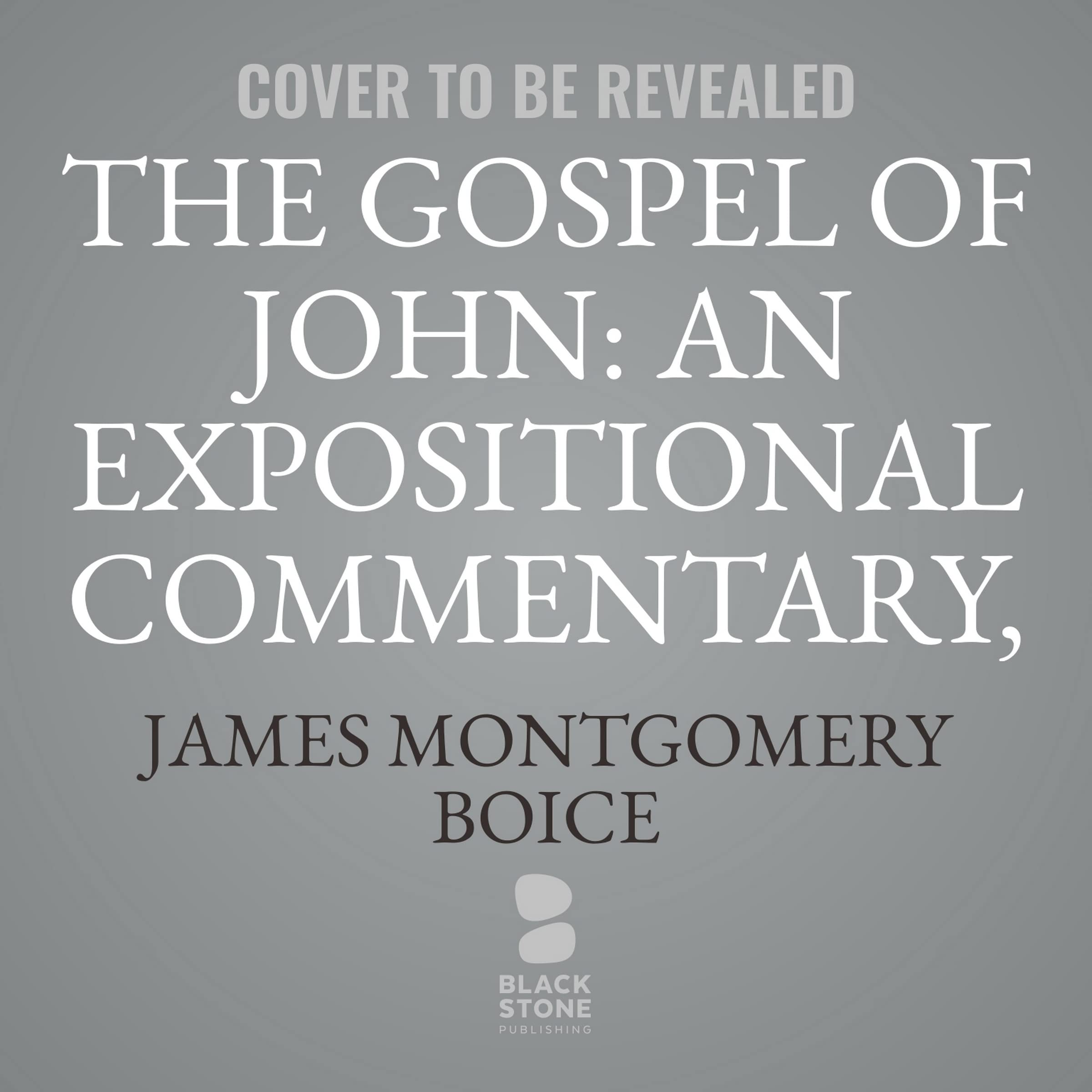The Gospel of John: An Expositional Commentary, Vol. 4: Peace in Storm ...