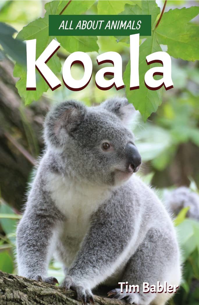 All About Animals - Koala by Tim Babler | Goodreads