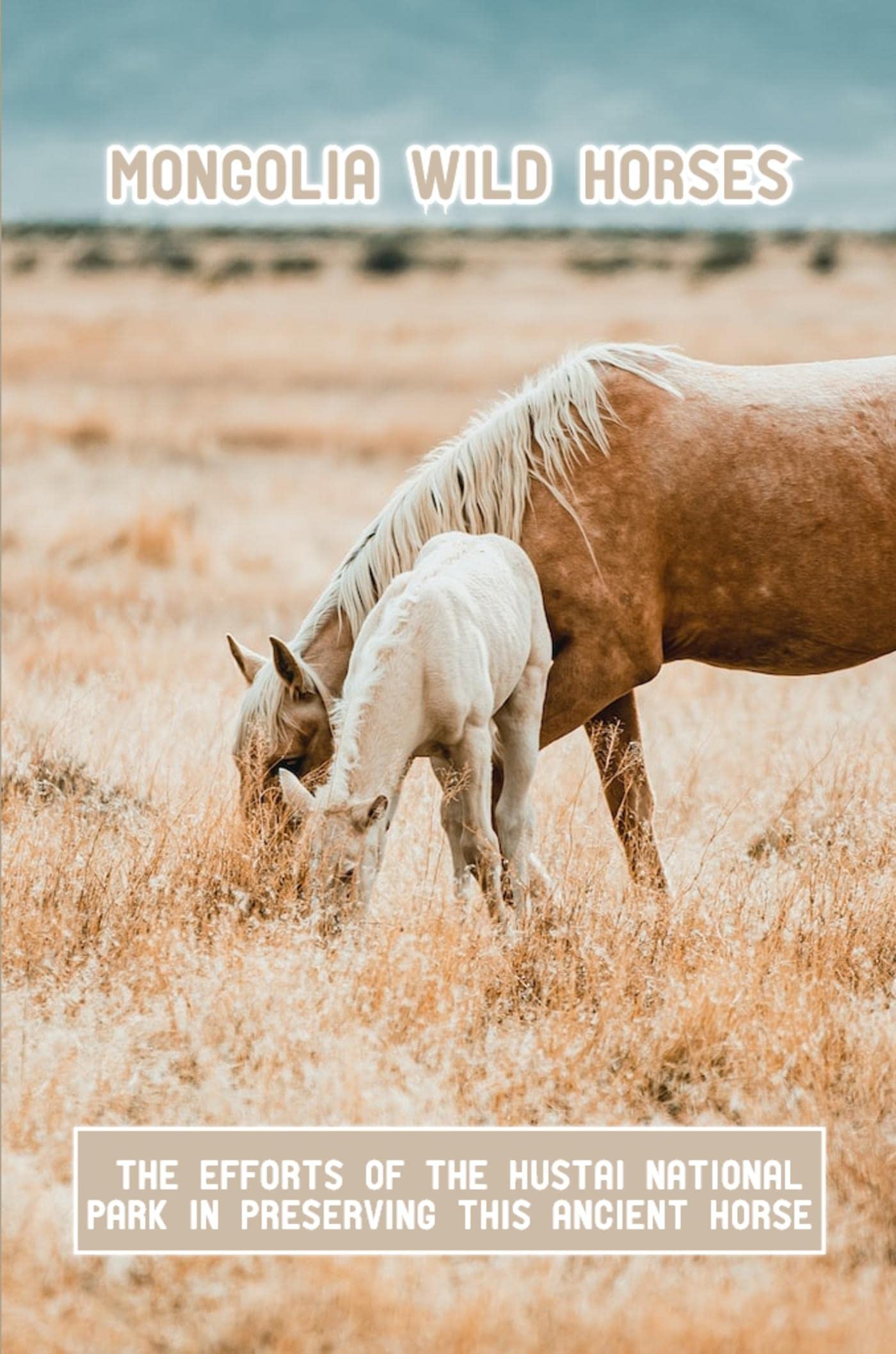 Mongolia Wild Horses: The Efforts Of The Hustai National Park In ...
