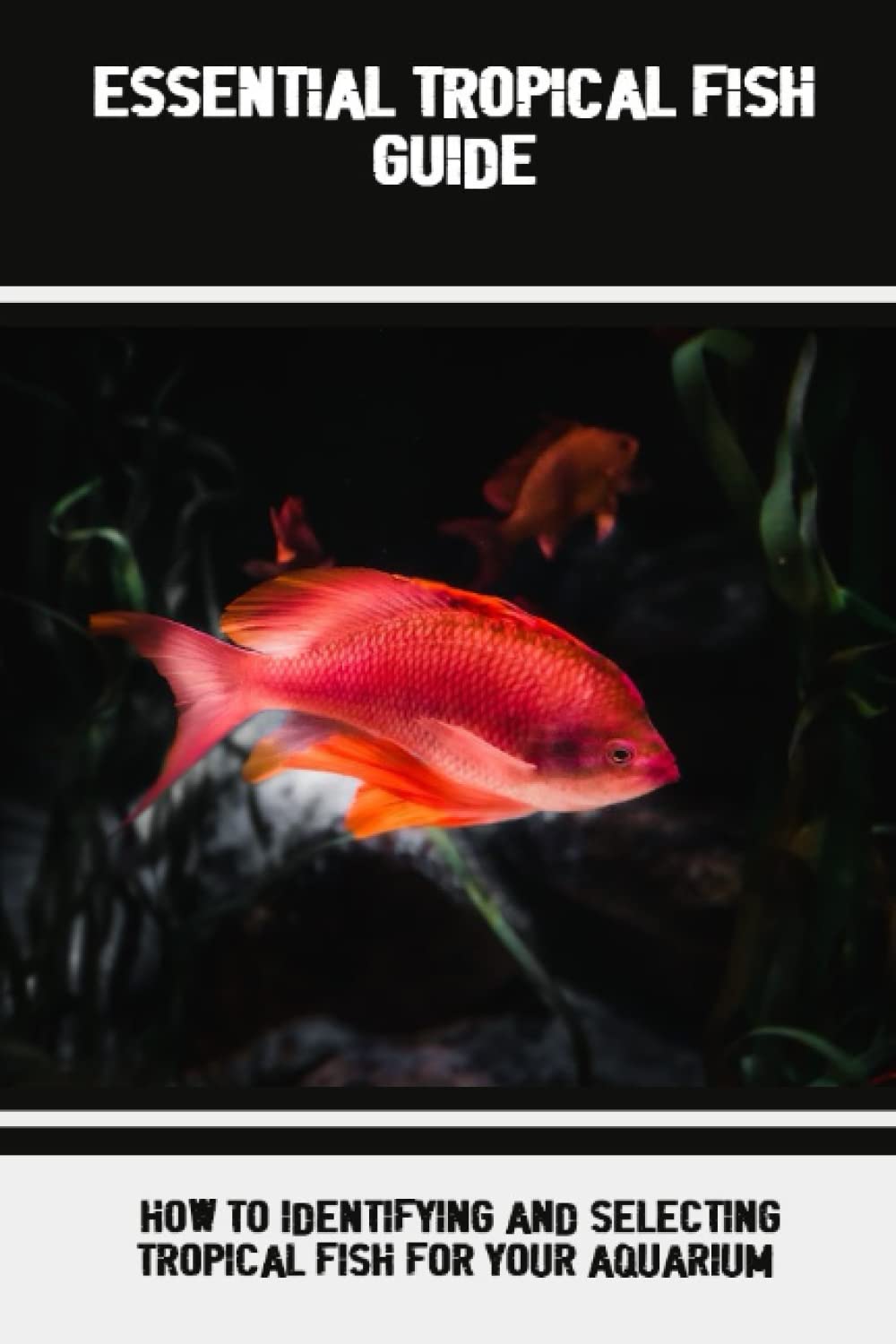 Essential Tropical Fish Guide: How To Identifying And Selecting ...