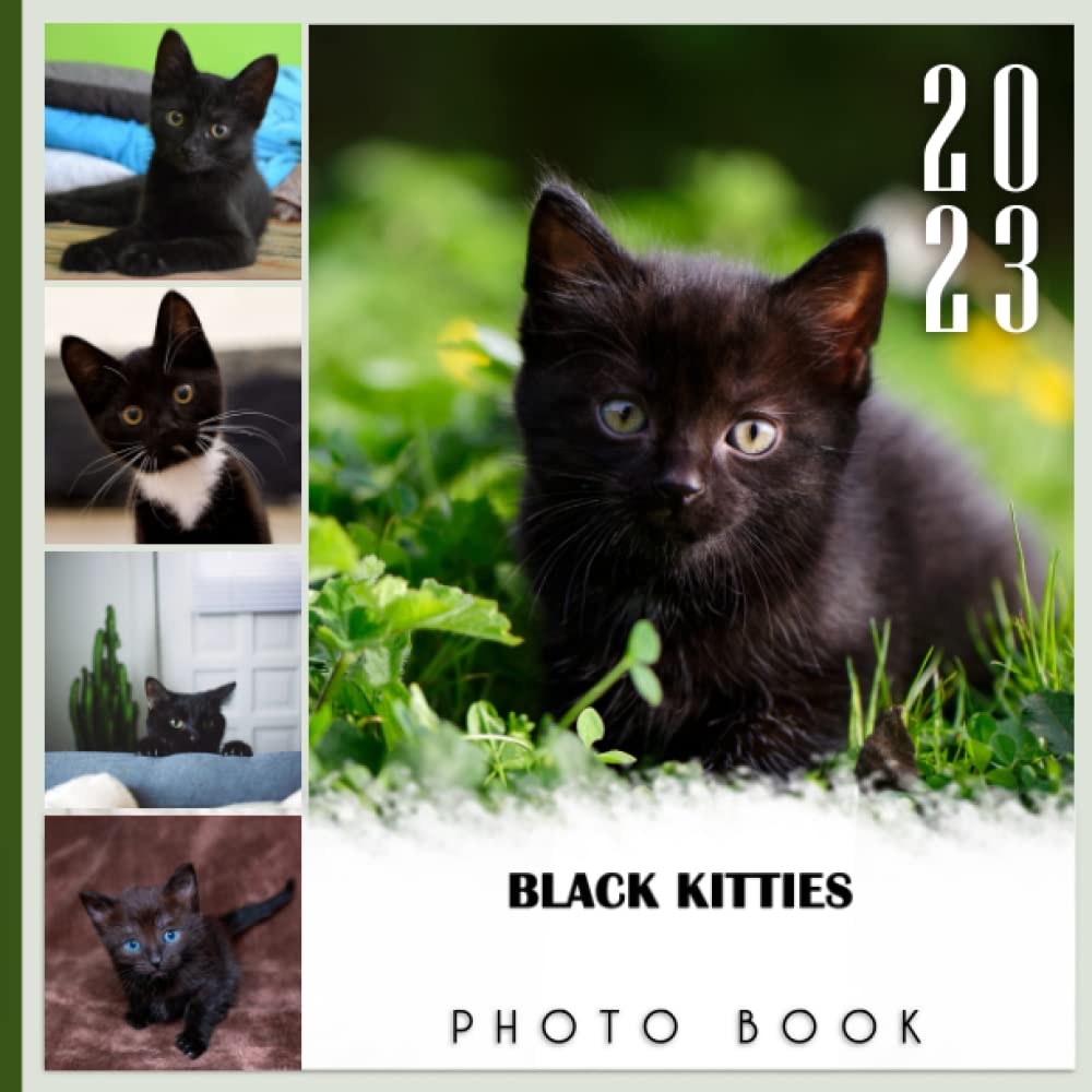 Black kitties Photobook: Photo Book Of Black kitties With 30+ Pictures ...