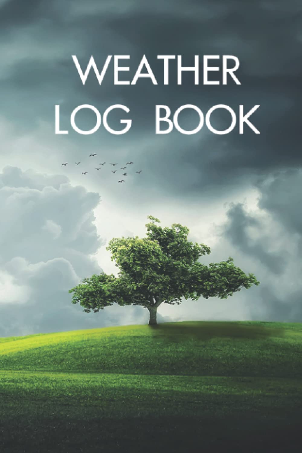 Weather Log Book: 120 Page Book Journal Diary for Recording ...