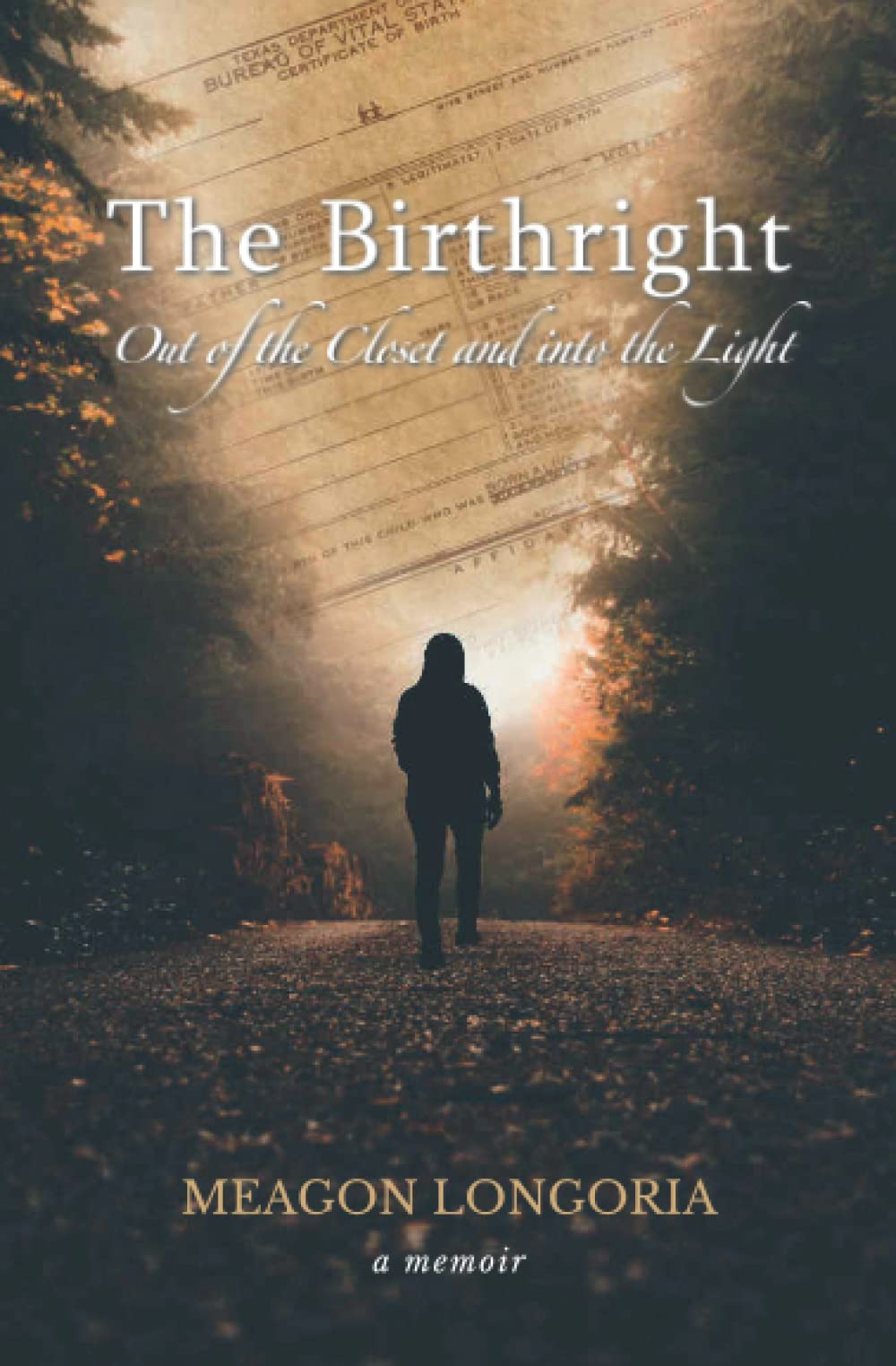 The Birthright: Out of the Closet and into the Light by Meagon Longoria ...