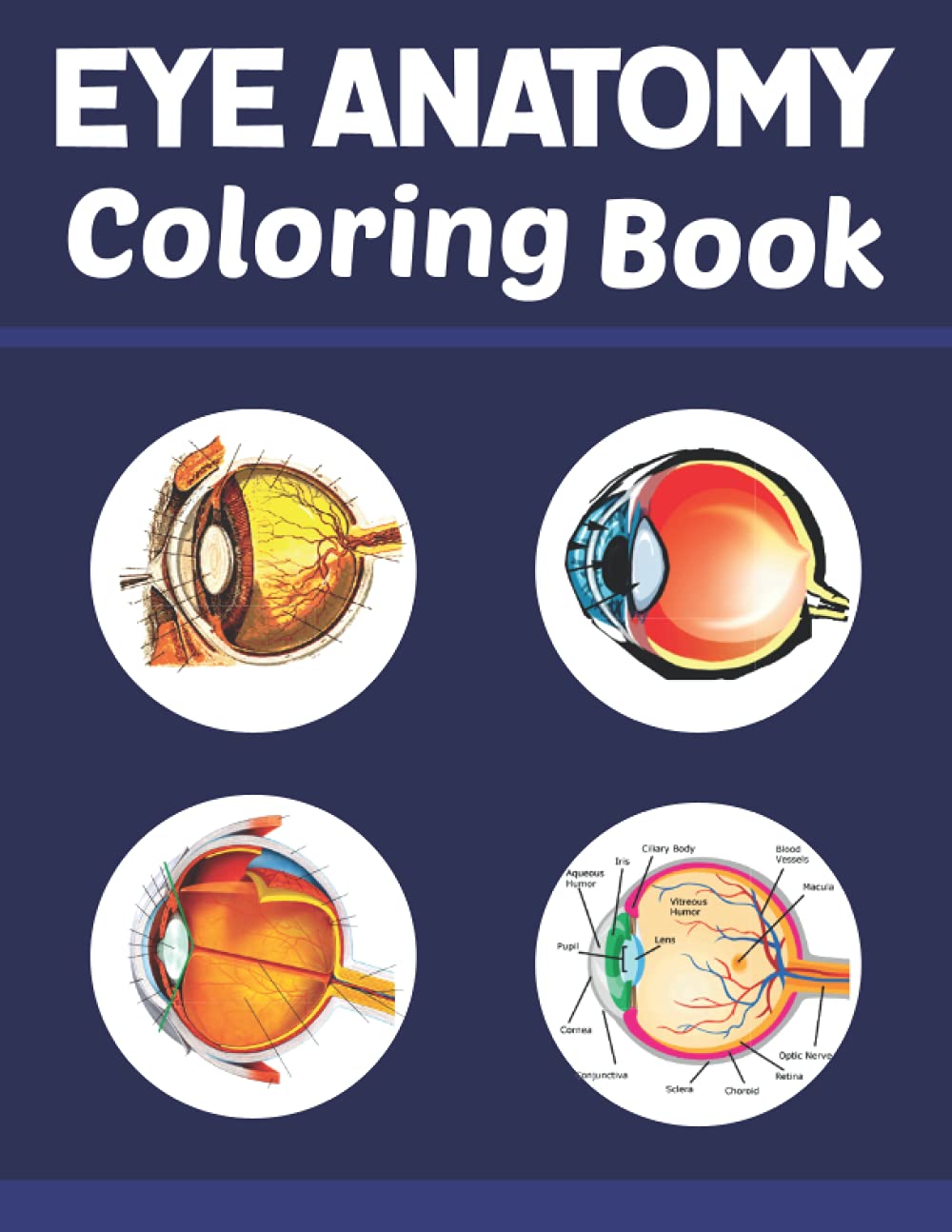 Eye Anatomy Coloring Book Incredibly Detailed Self Test Human Eye
