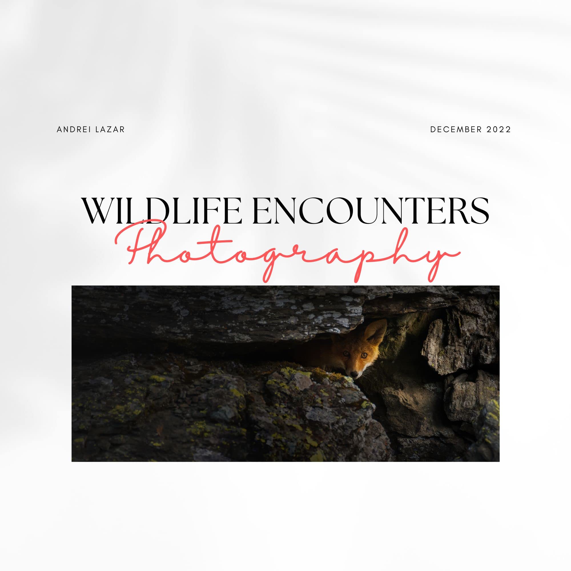Wildlife Encounters Photography by Andrei Lazar | Goodreads