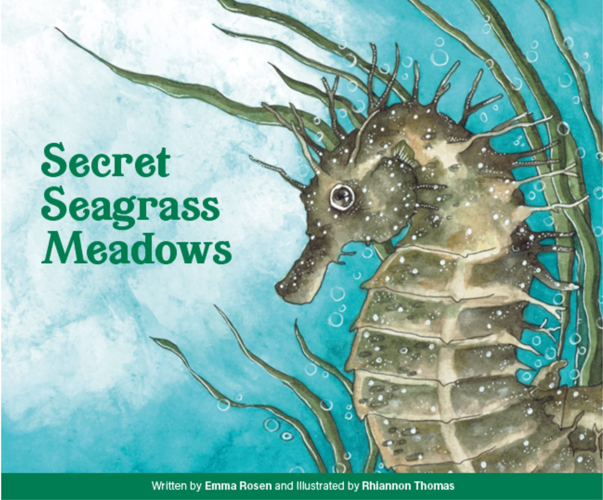 Secret Seagrass Meadows by Emma Rosen | Goodreads