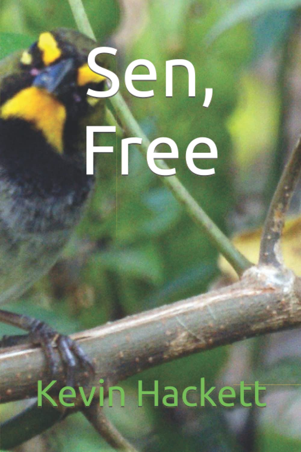 Sen, Free by Kevin J. Hackett | Goodreads