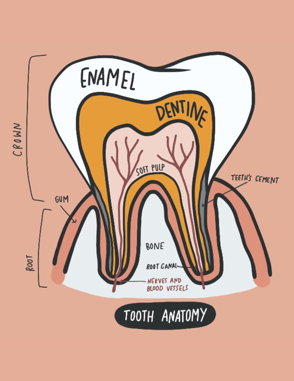 Anatomy Journal: 8.5 X 11 Ruled Diary, Lined Notebook For Writing ...
